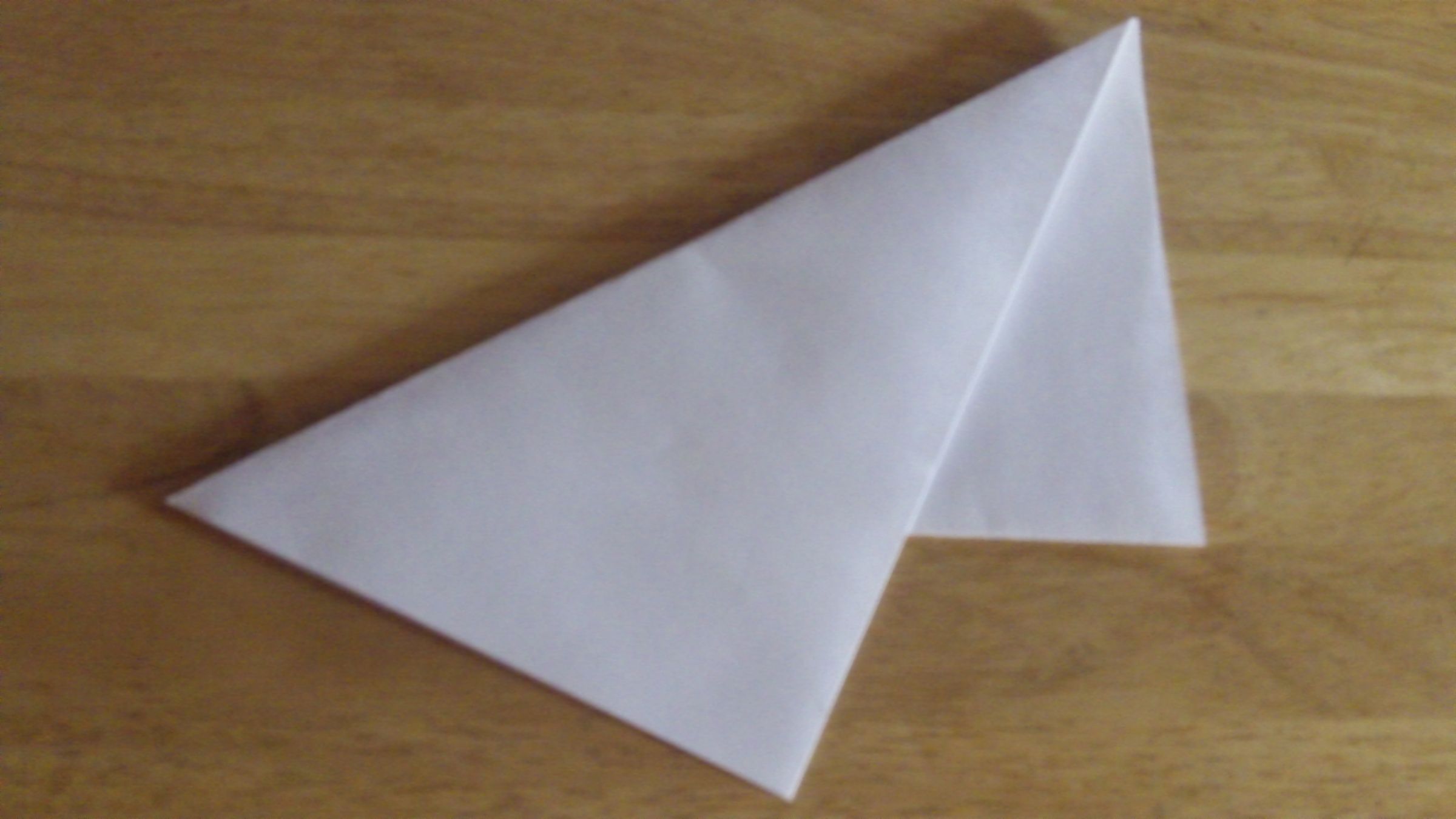 How to Make the Pelican Paper Airplane : 10 Steps - Instructables