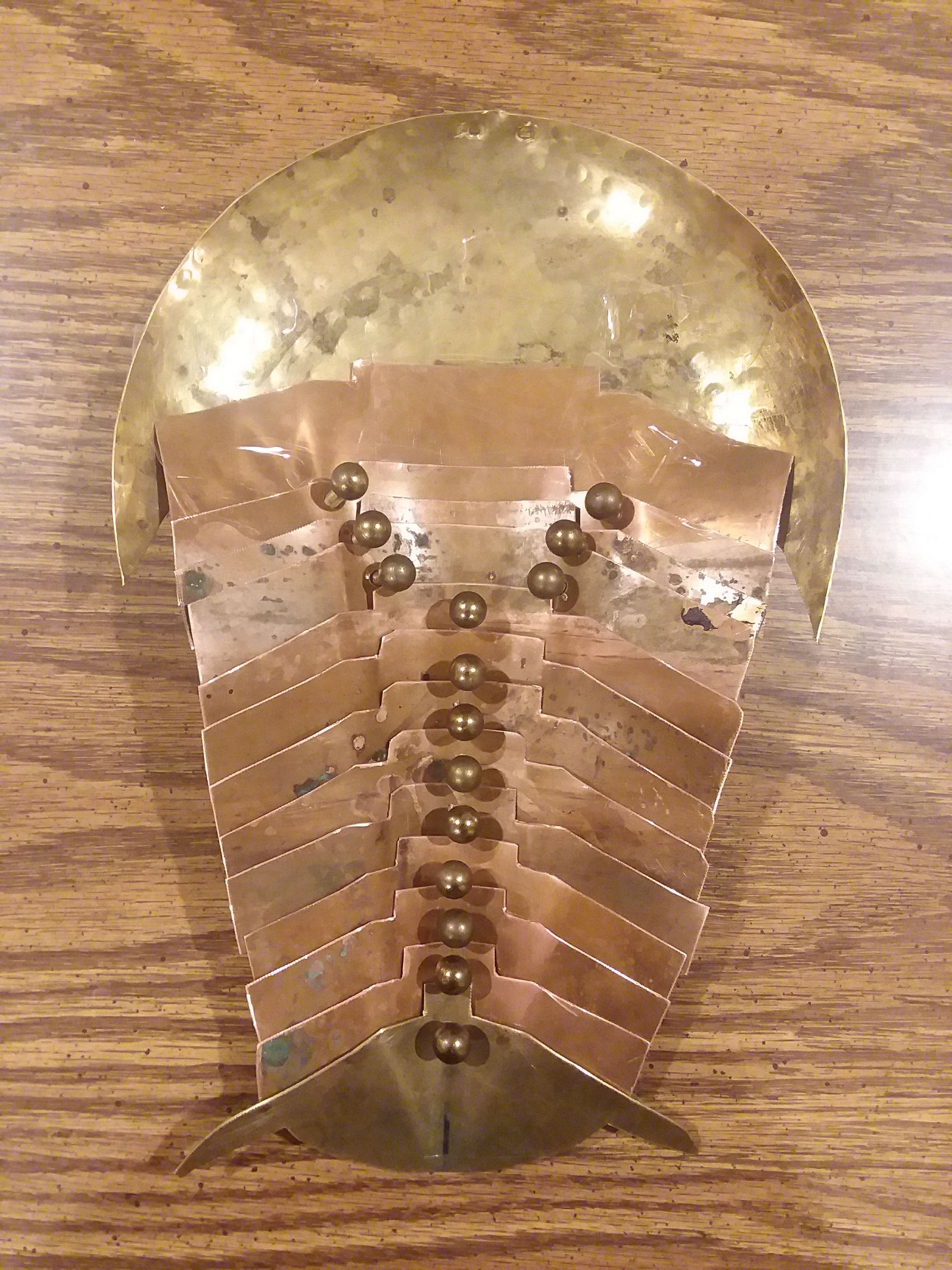 Trilobite Metal Sculpture or Wall Art : 6 Steps (with Pictures ...