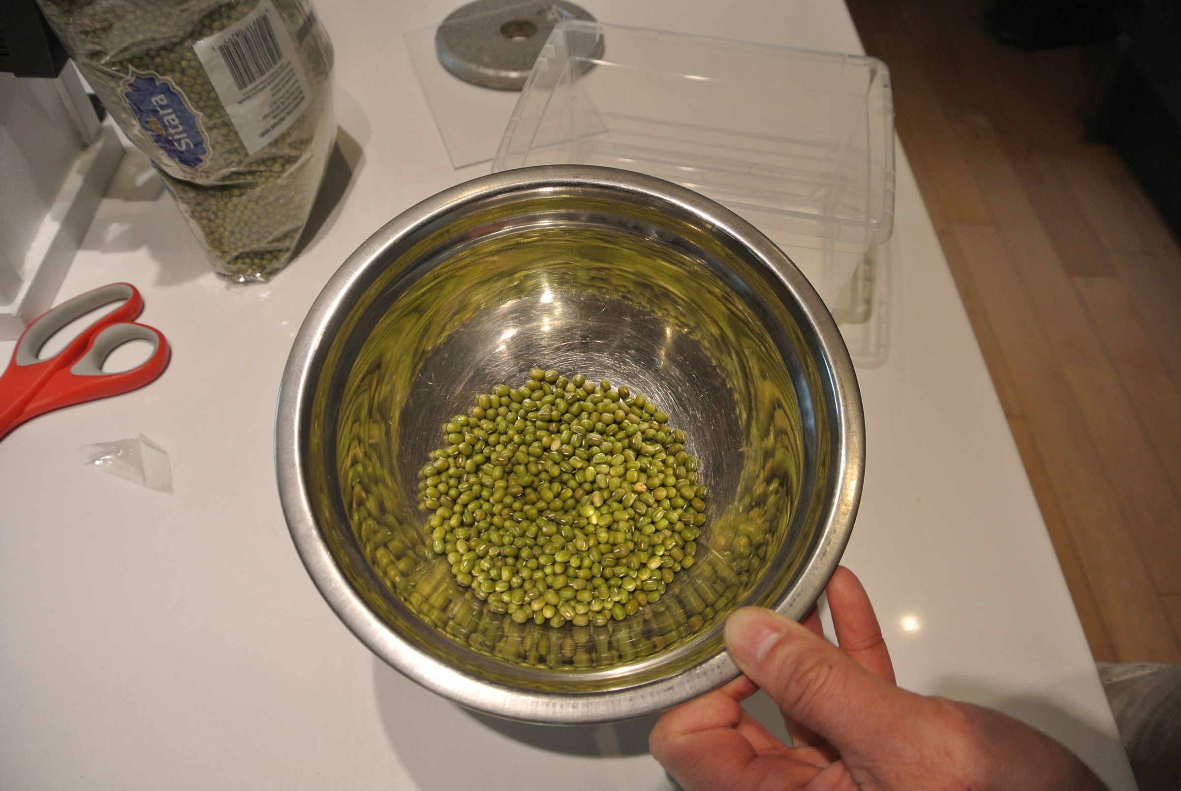 Growing Bean Sprouts : 7 Steps (with Pictures) - Instructables