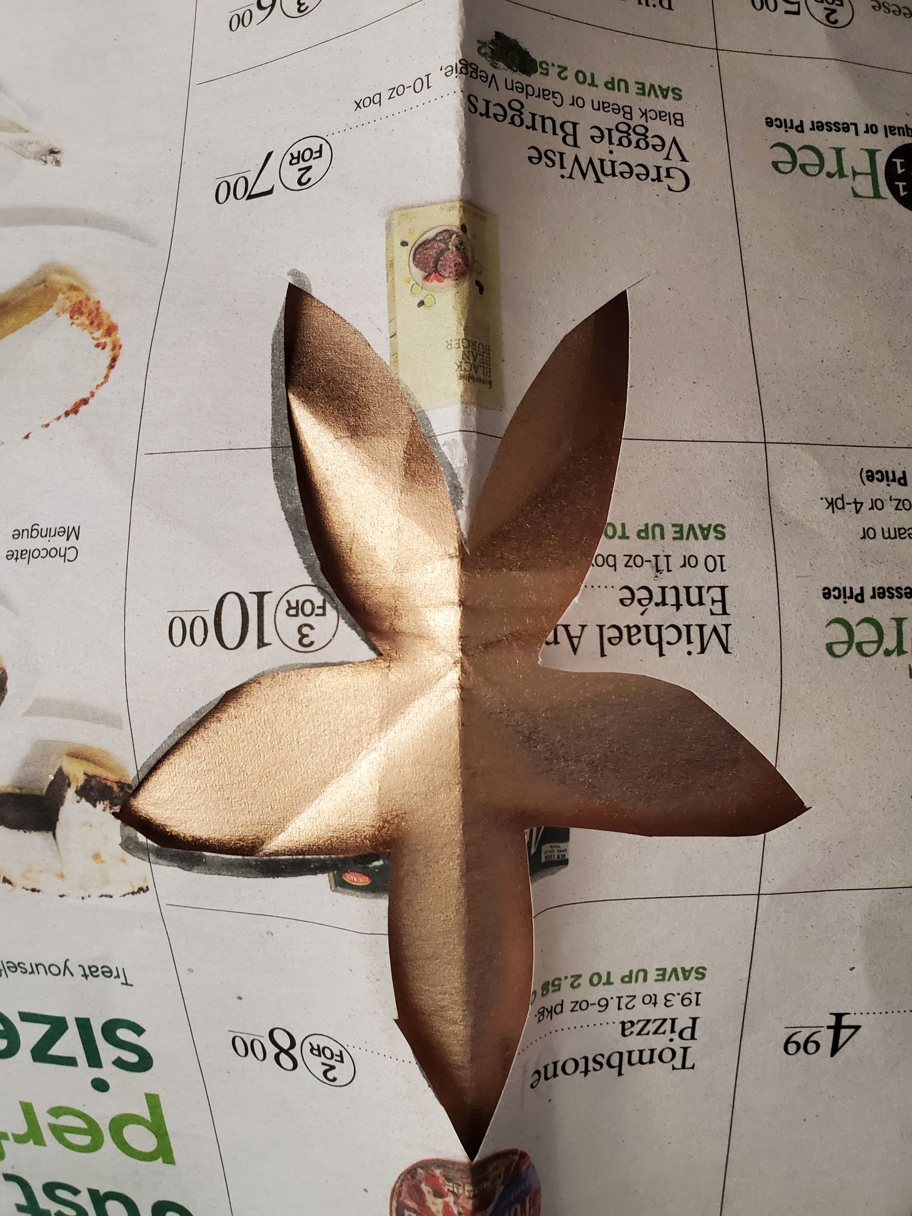 Super Sized Sand Dollar : 5 Steps - Instructables