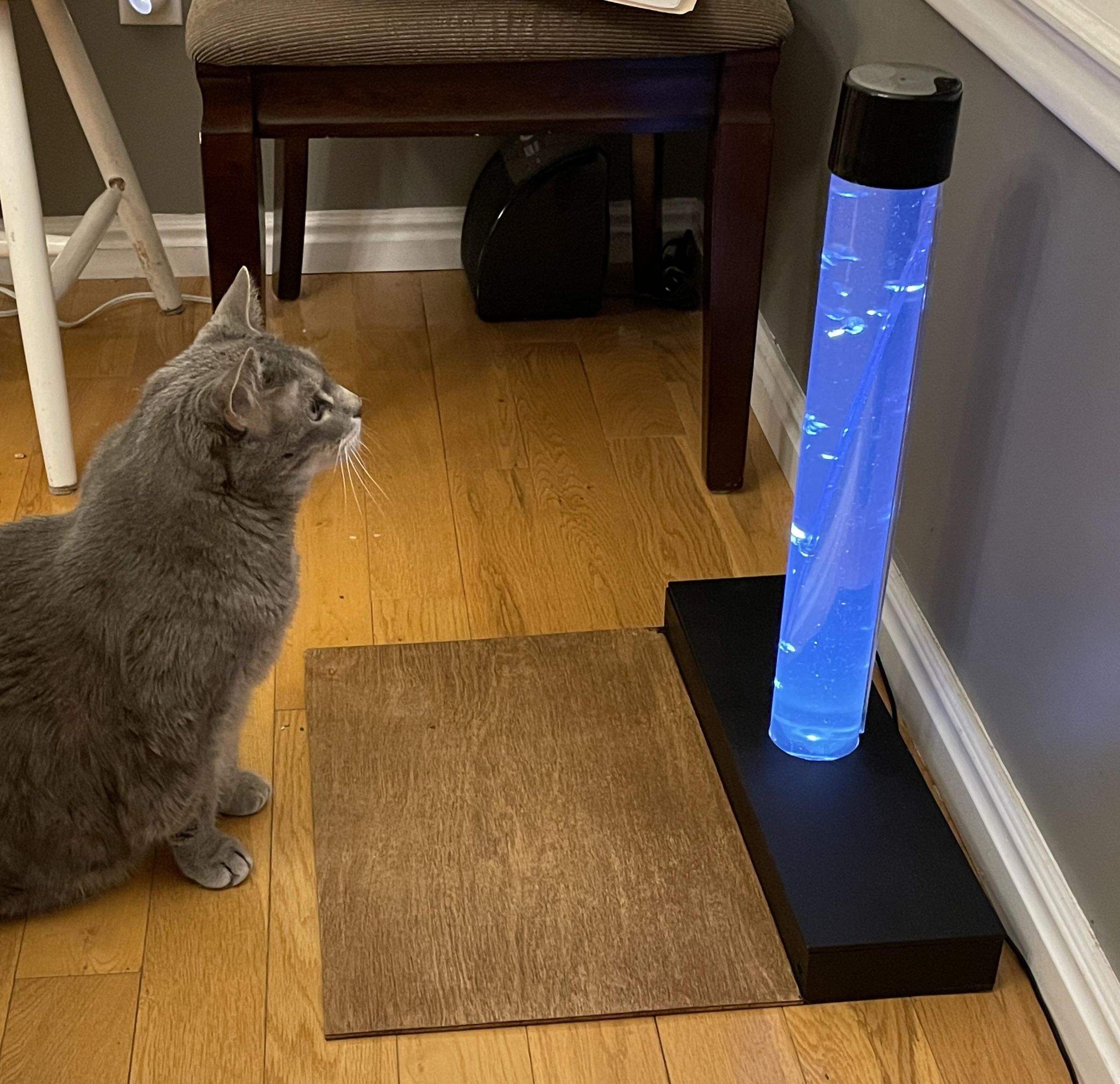 Pet Entertainment Bubble Tower With Laser Perimeter Sensing : 13 Steps ...