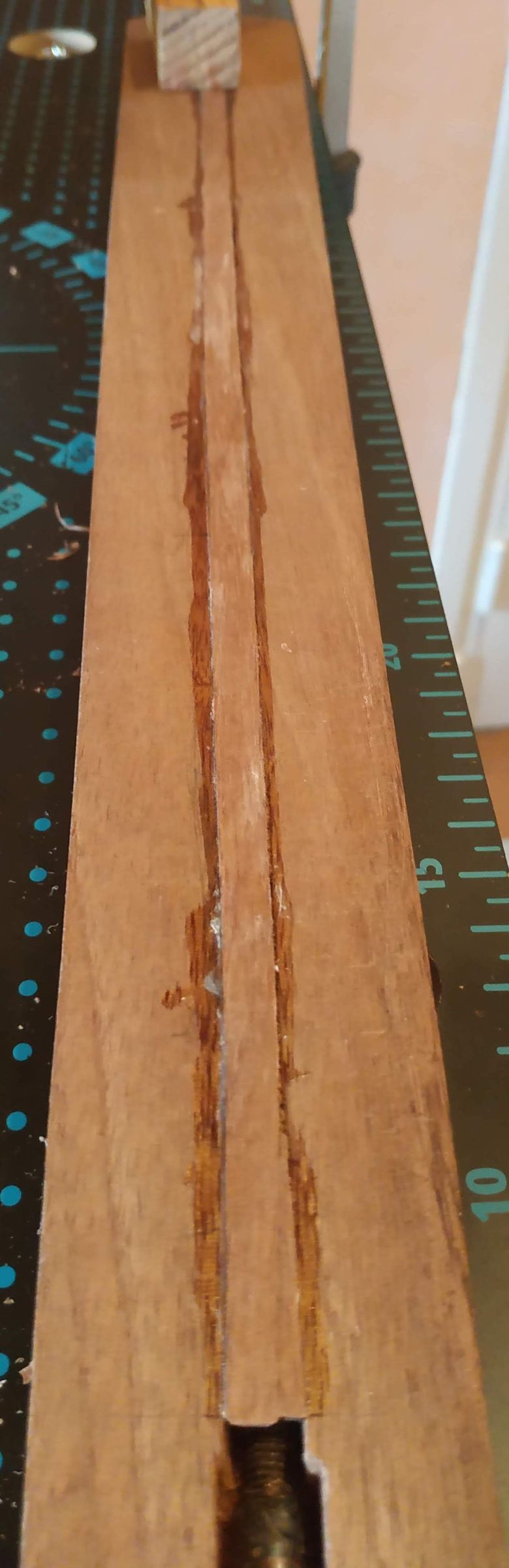 Building a Guitar: Telecaster Thinline : 12 Steps (with Pictures ...