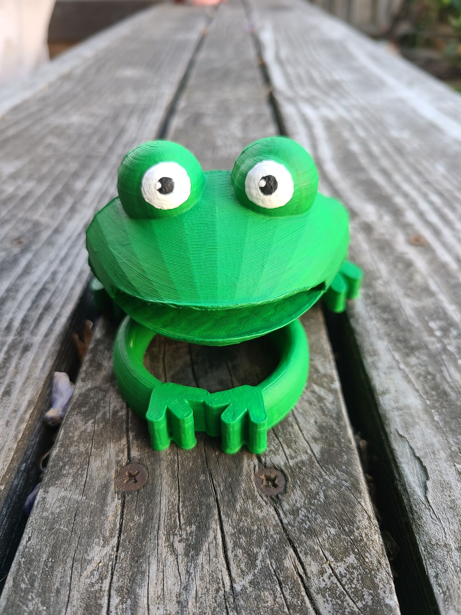 Frog Phone Charger and Glasses Holder : 5 Steps (with Pictures ...