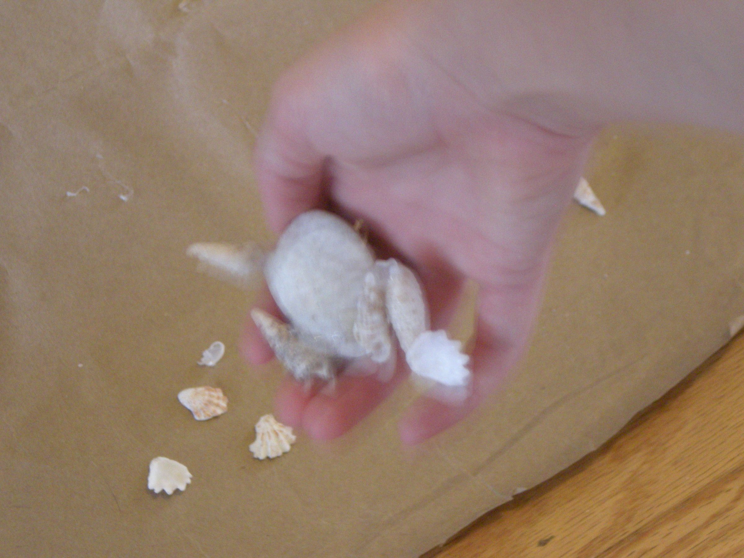 Desk Pets Made Out of Shells : 5 Steps - Instructables