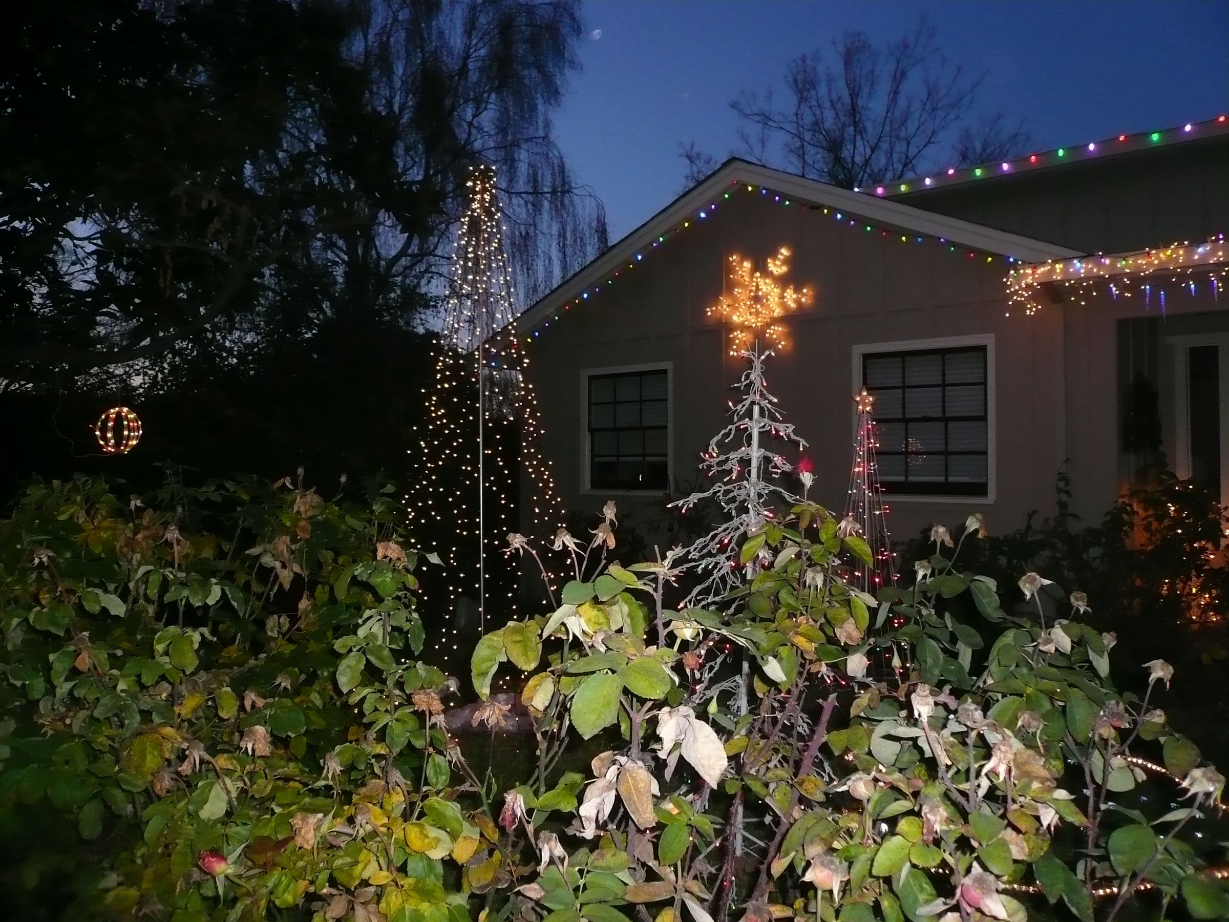 Outdoor String-of-Lights Tree for the Holidays. : 9 Steps - Instructables