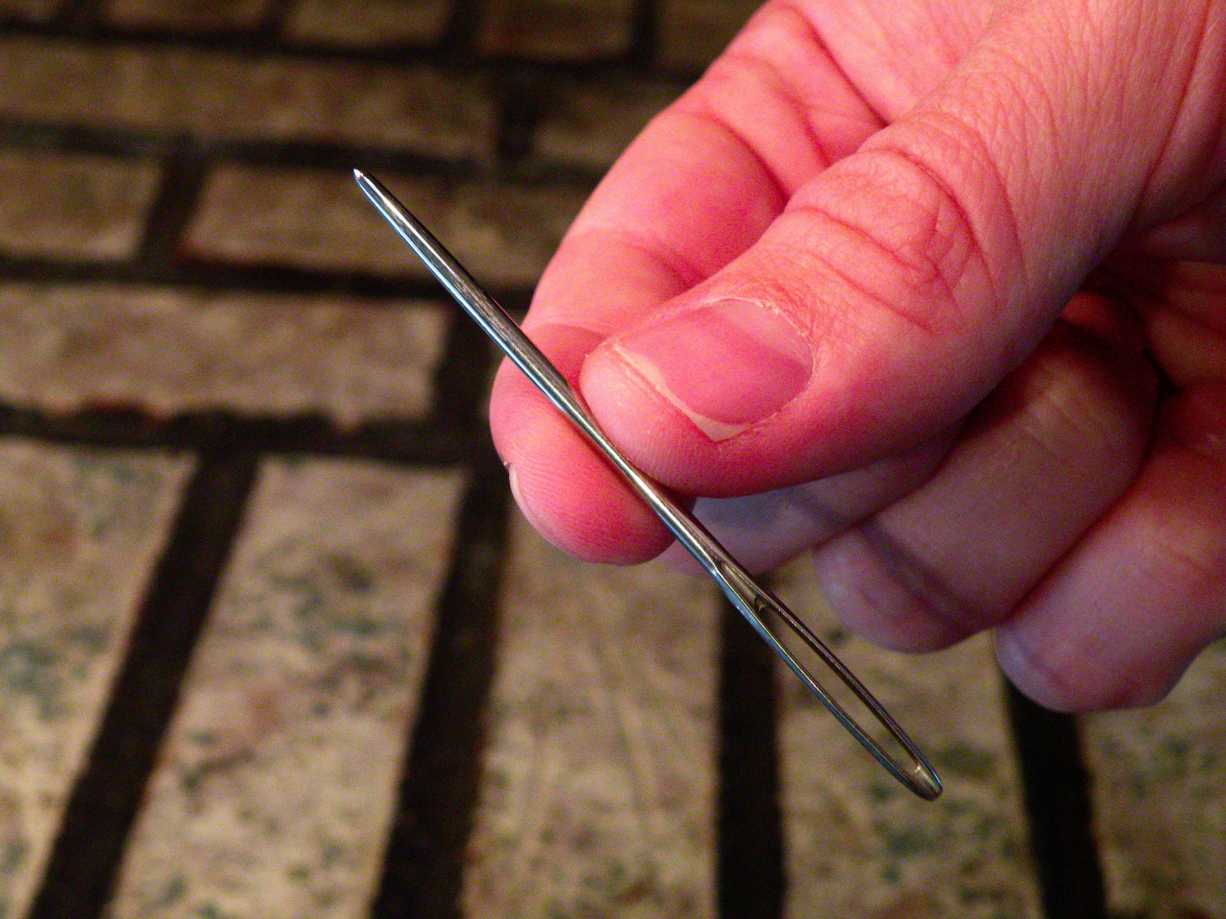 Spool Knit a Cool Lizard : 8 Steps (with Pictures) - Instructables