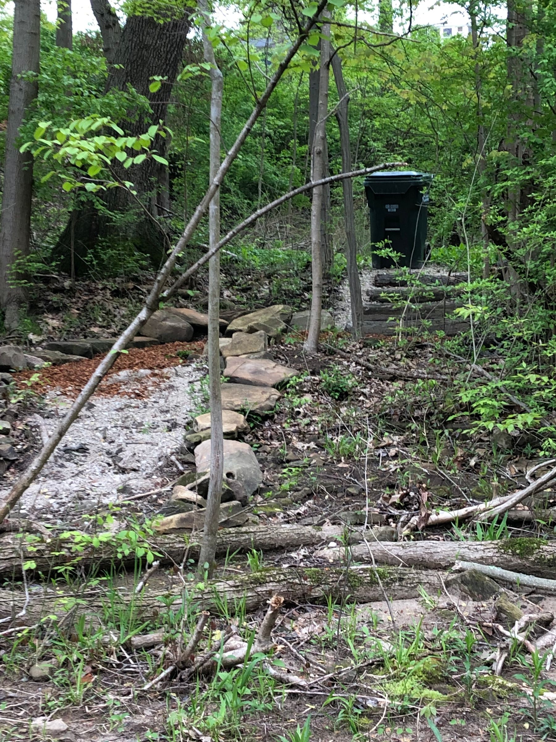Log Path Cut Into a Hill : 5 Steps (with Pictures) - Instructables