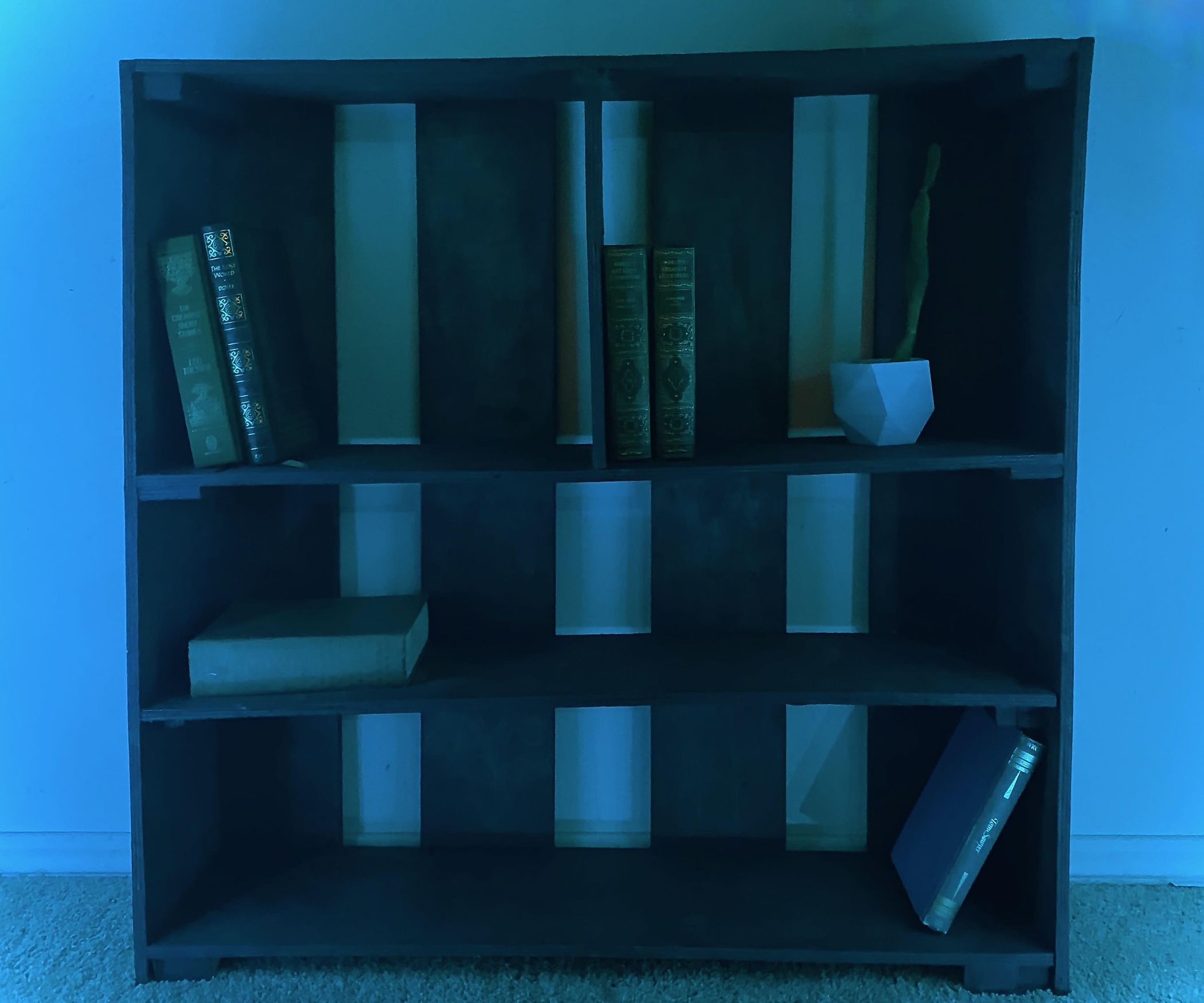 Easy Eco Bookshelf : 6 Steps (with Pictures) - Instructables