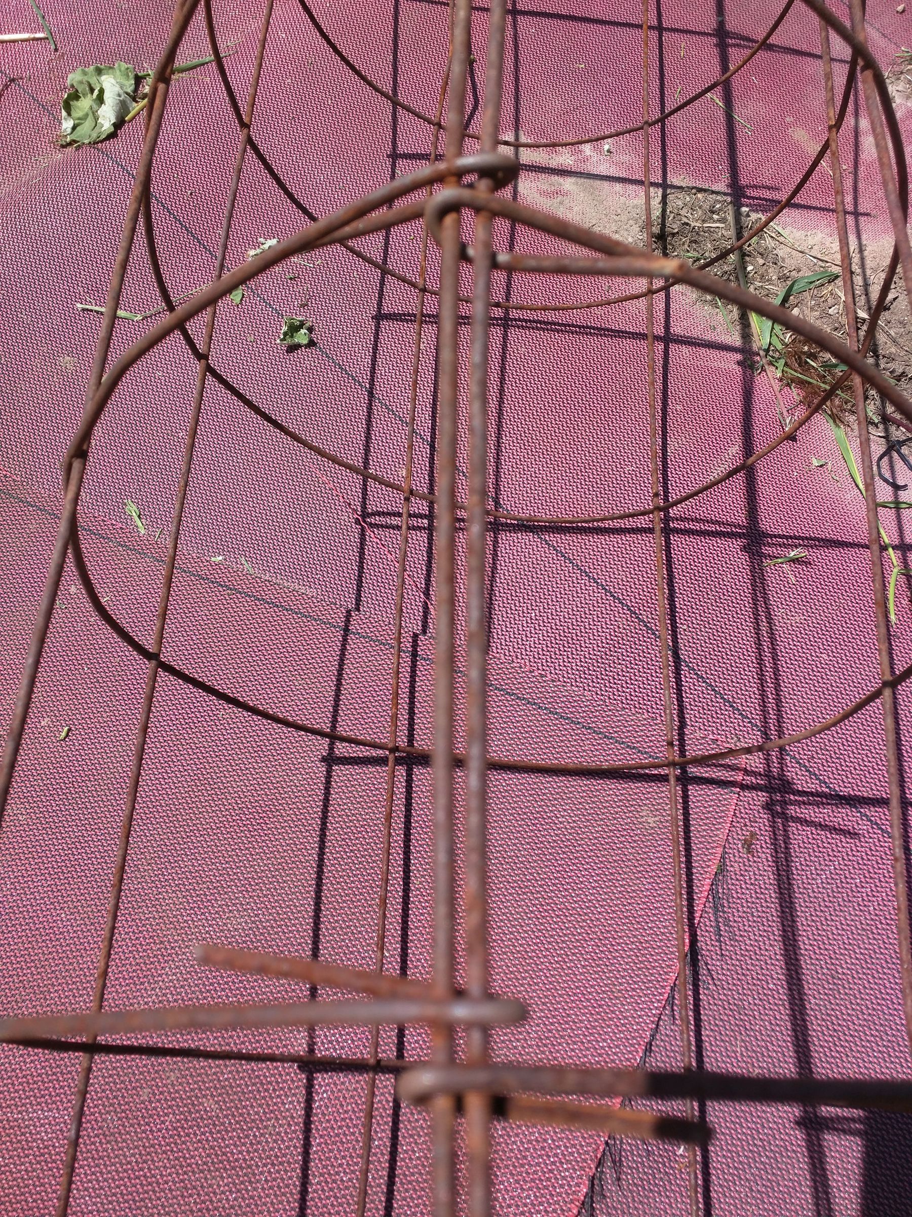 Make Your Own Tomato Cages : 4 Steps (with Pictures) - Instructables