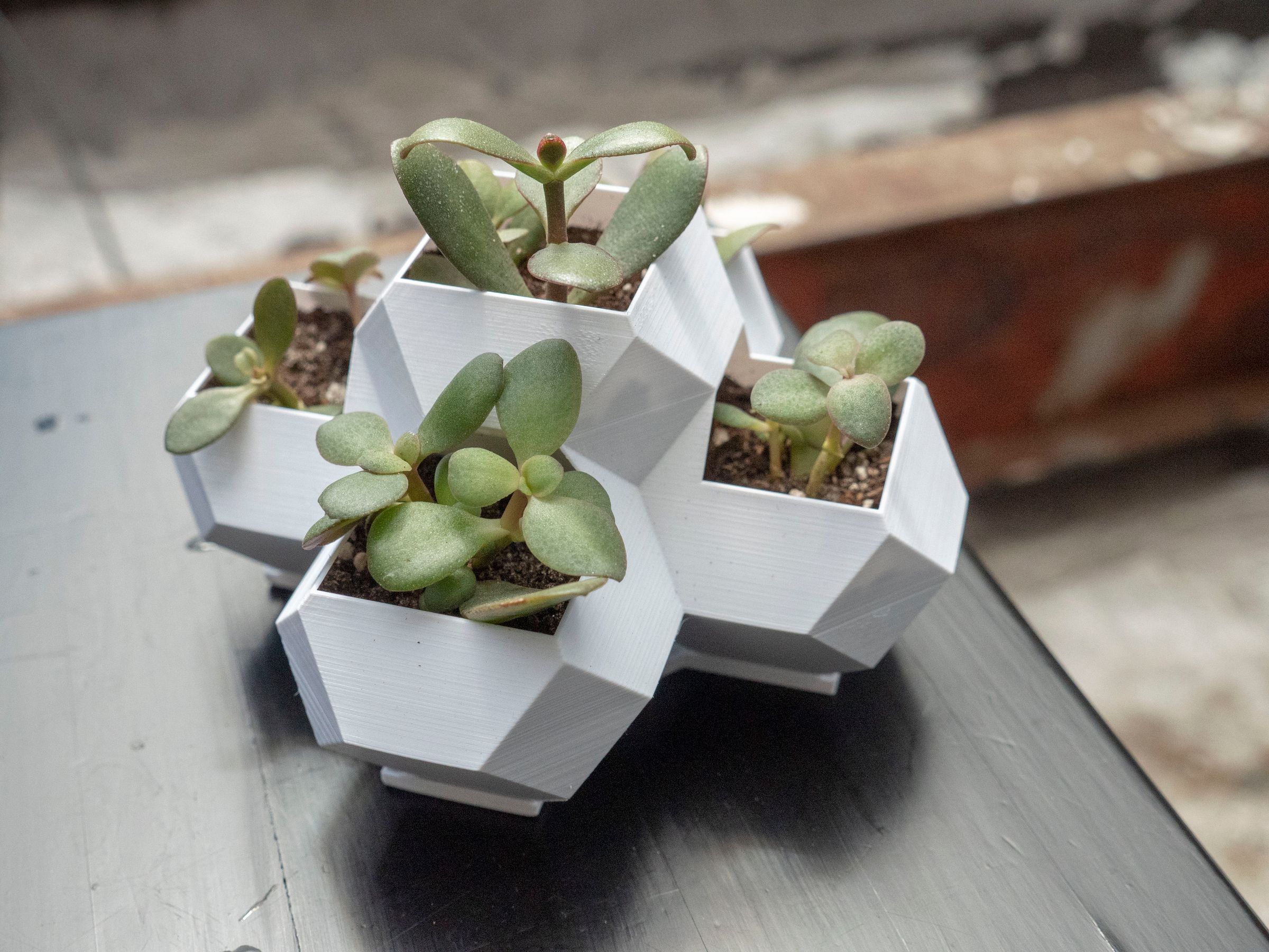 3D Printed Geometric Planter With Drainage : 4 Steps (with Pictures ...