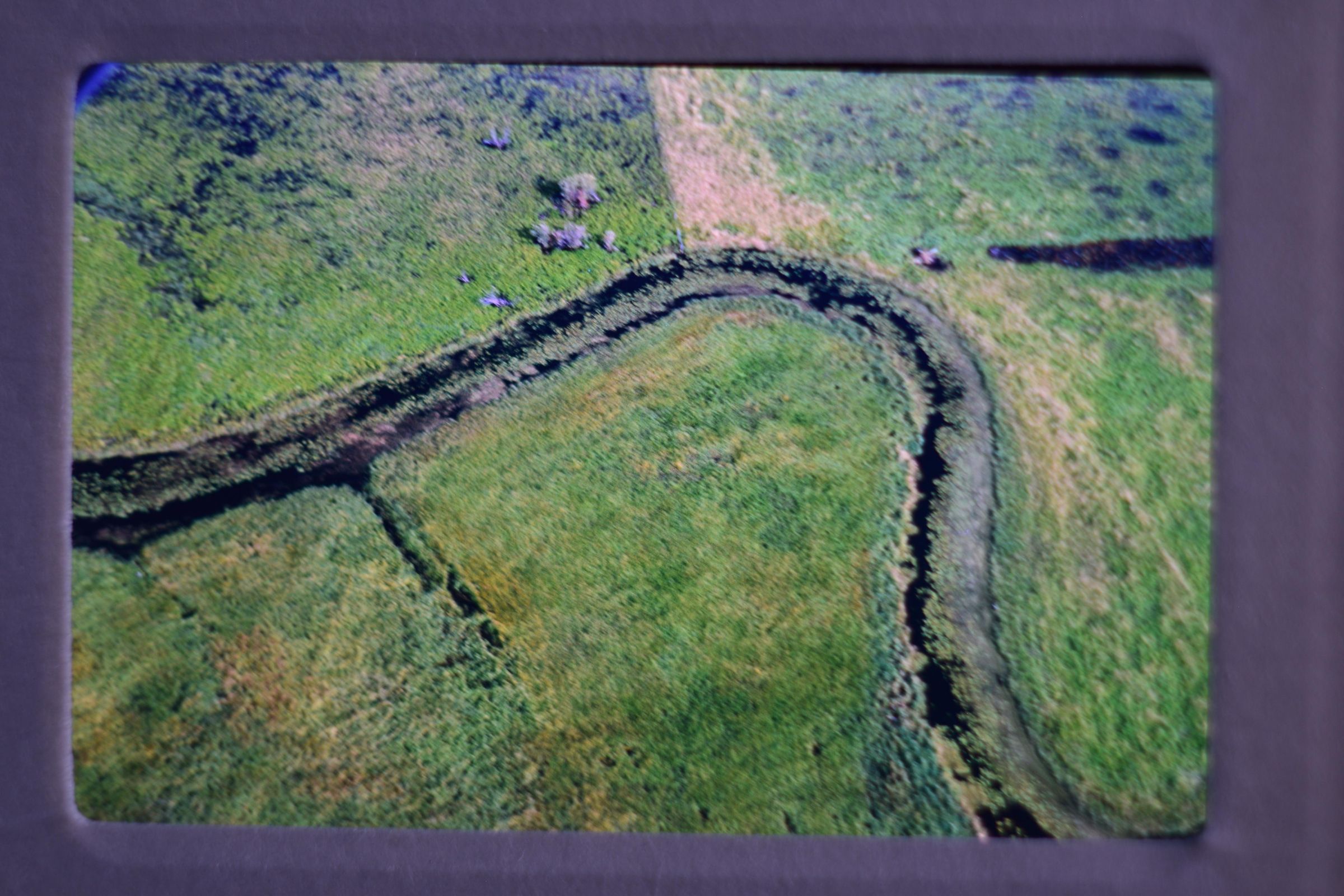 Slide Scanning With DSLR : 8 Steps (with Pictures) - Instructables