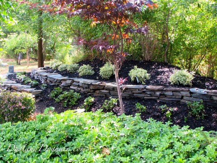 Dry Stack Wall Around Tree
