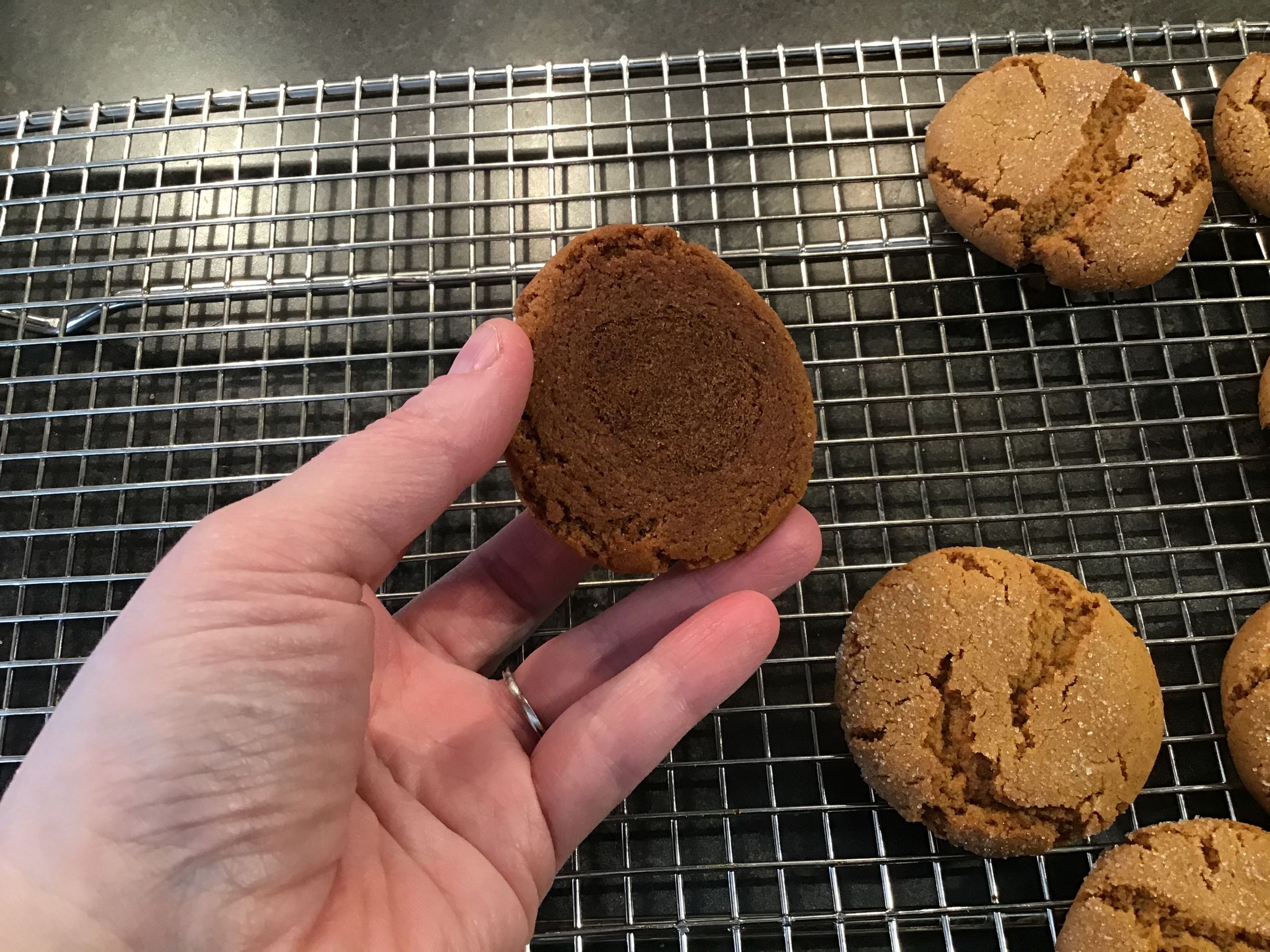Ginger Snaps. : 5 Steps (with Pictures) - Instructables
