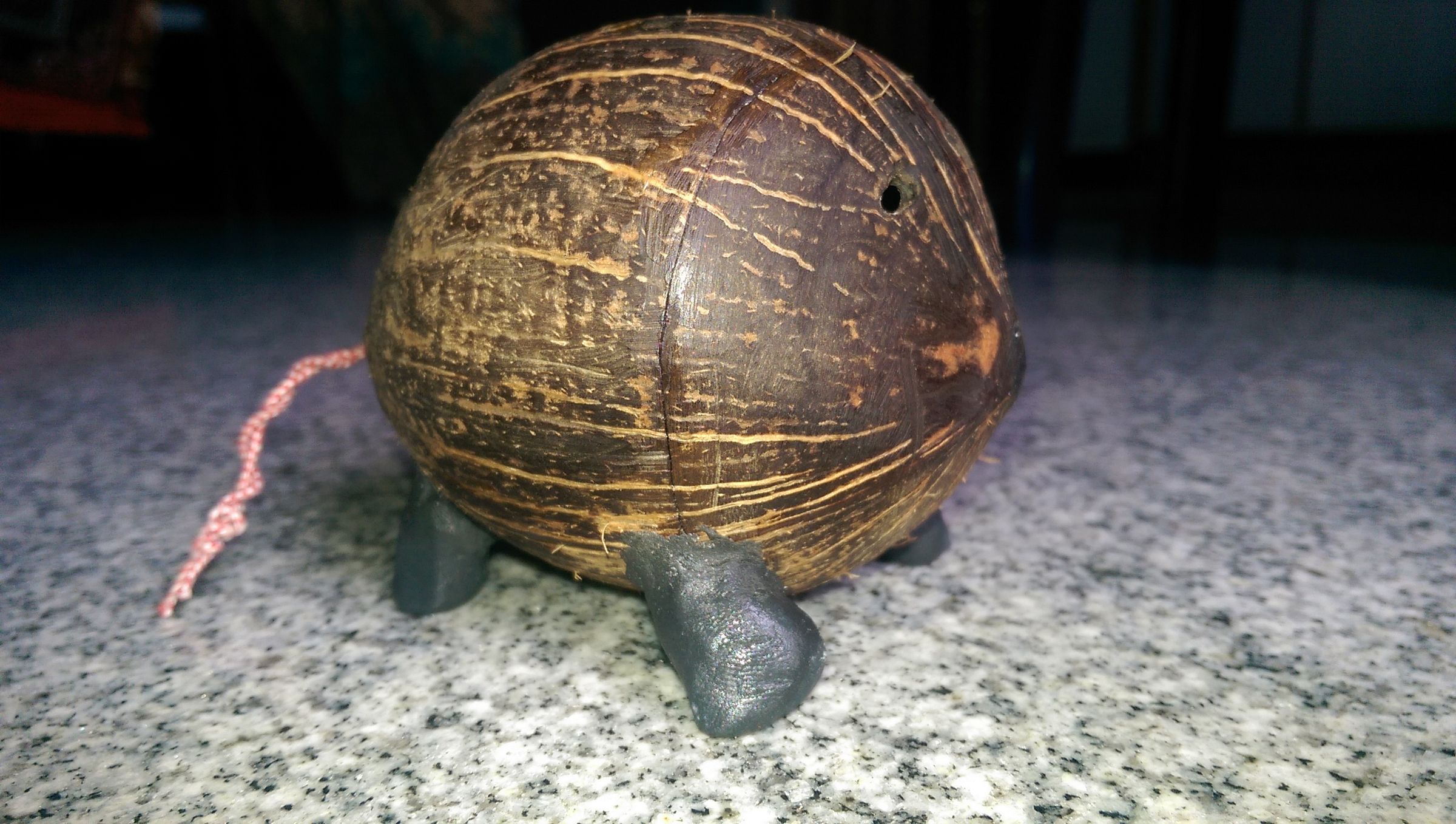 Coconut Piggy Bank : 9 Steps - Instructables