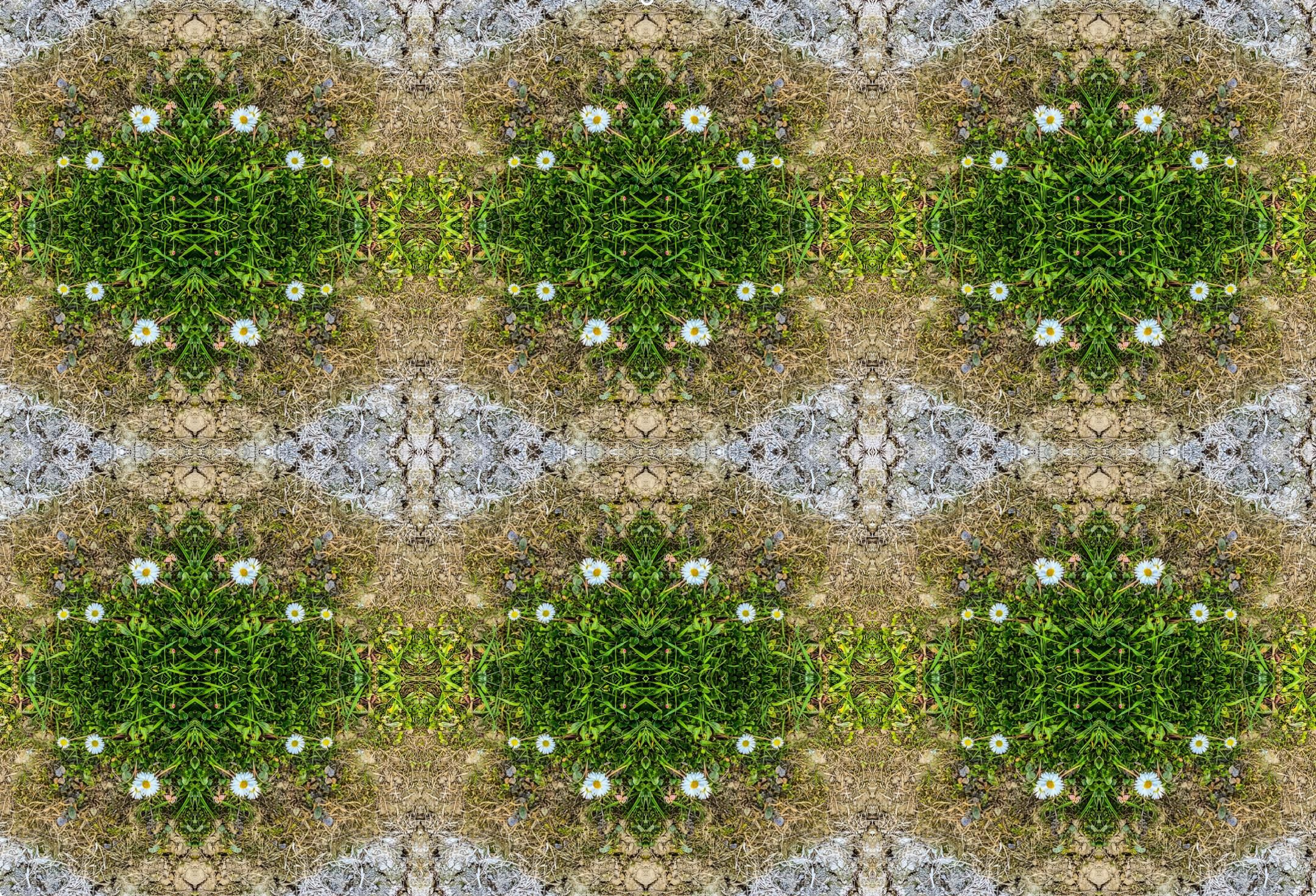 Making Patterns From Nature : 4 Steps (with Pictures) - Instructables