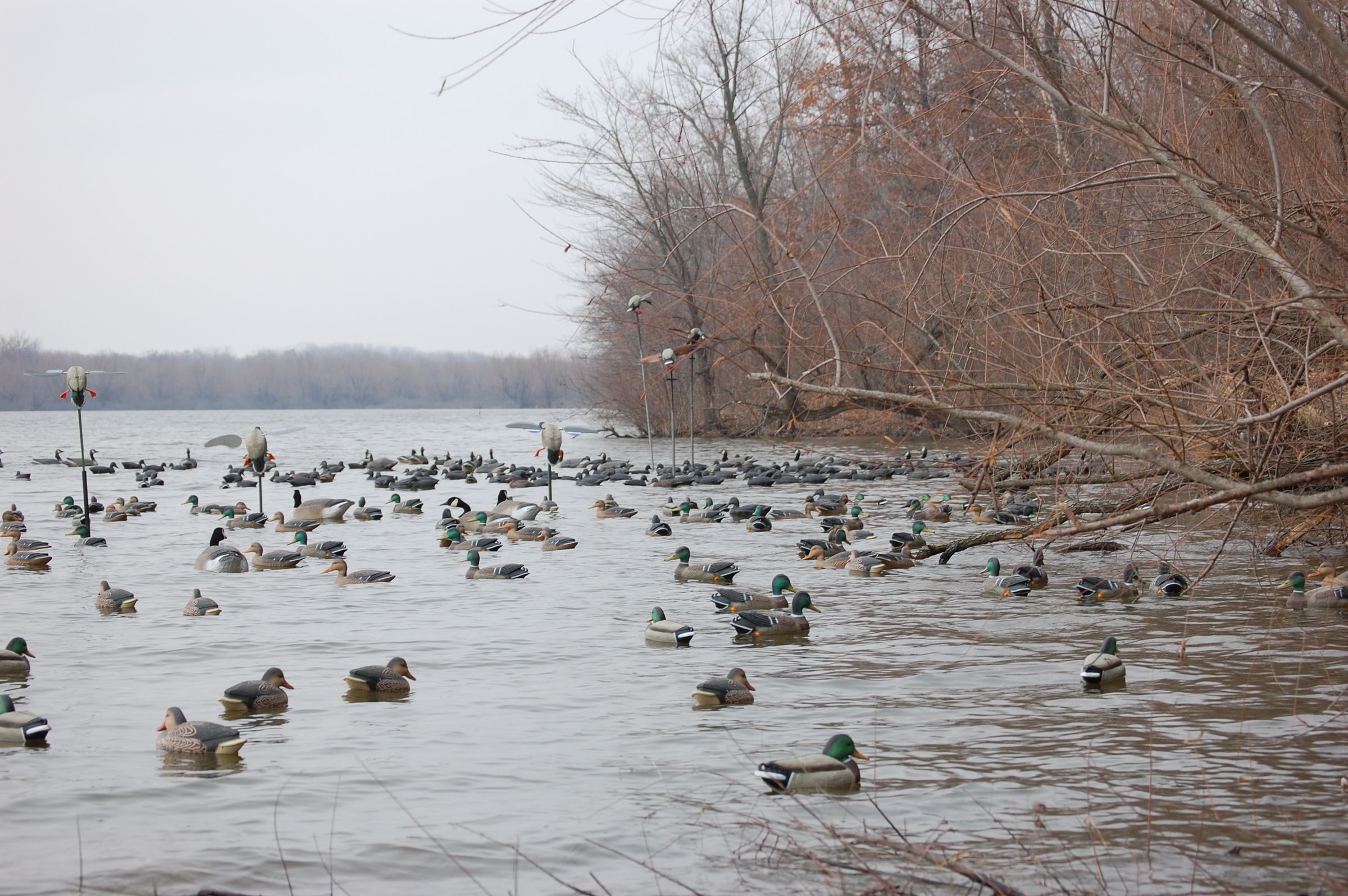 How to Equip Yourself for Duck Hunting : 7 Steps - Instructables