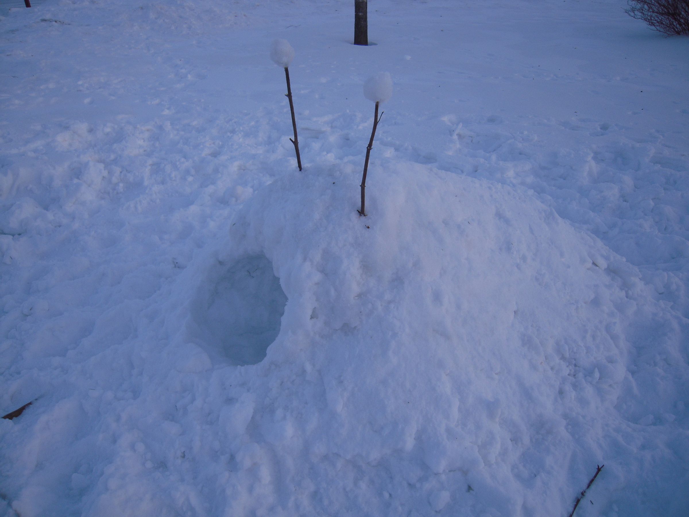 The Dangerous Snow Slug! - Instructables