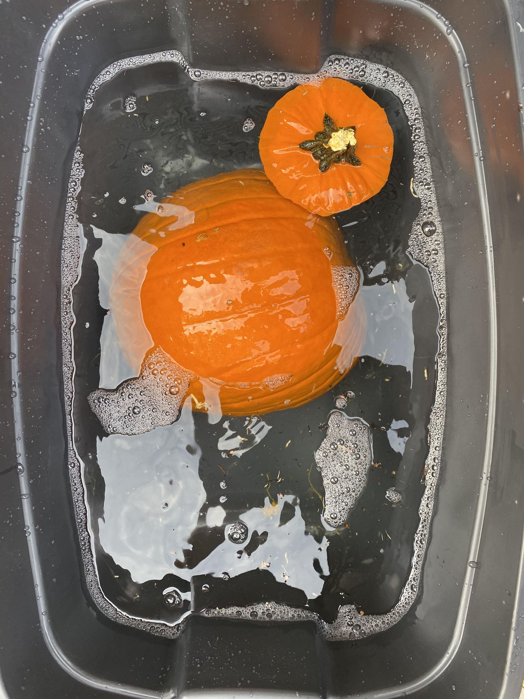 The Pumpkin Cooler : 7 Steps (with Pictures) - Instructables