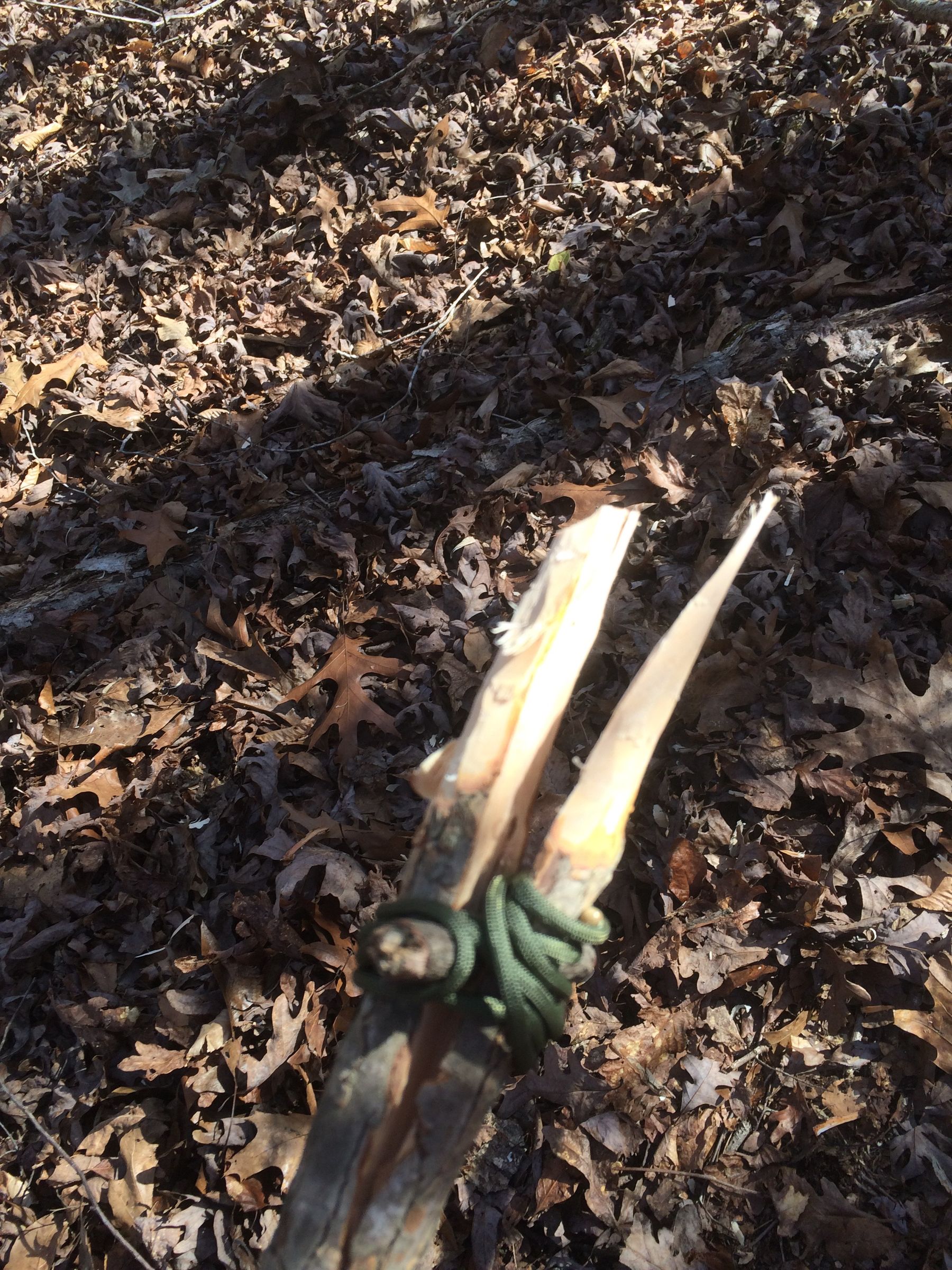 Primitive Spear : 7 Steps (with Pictures) - Instructables