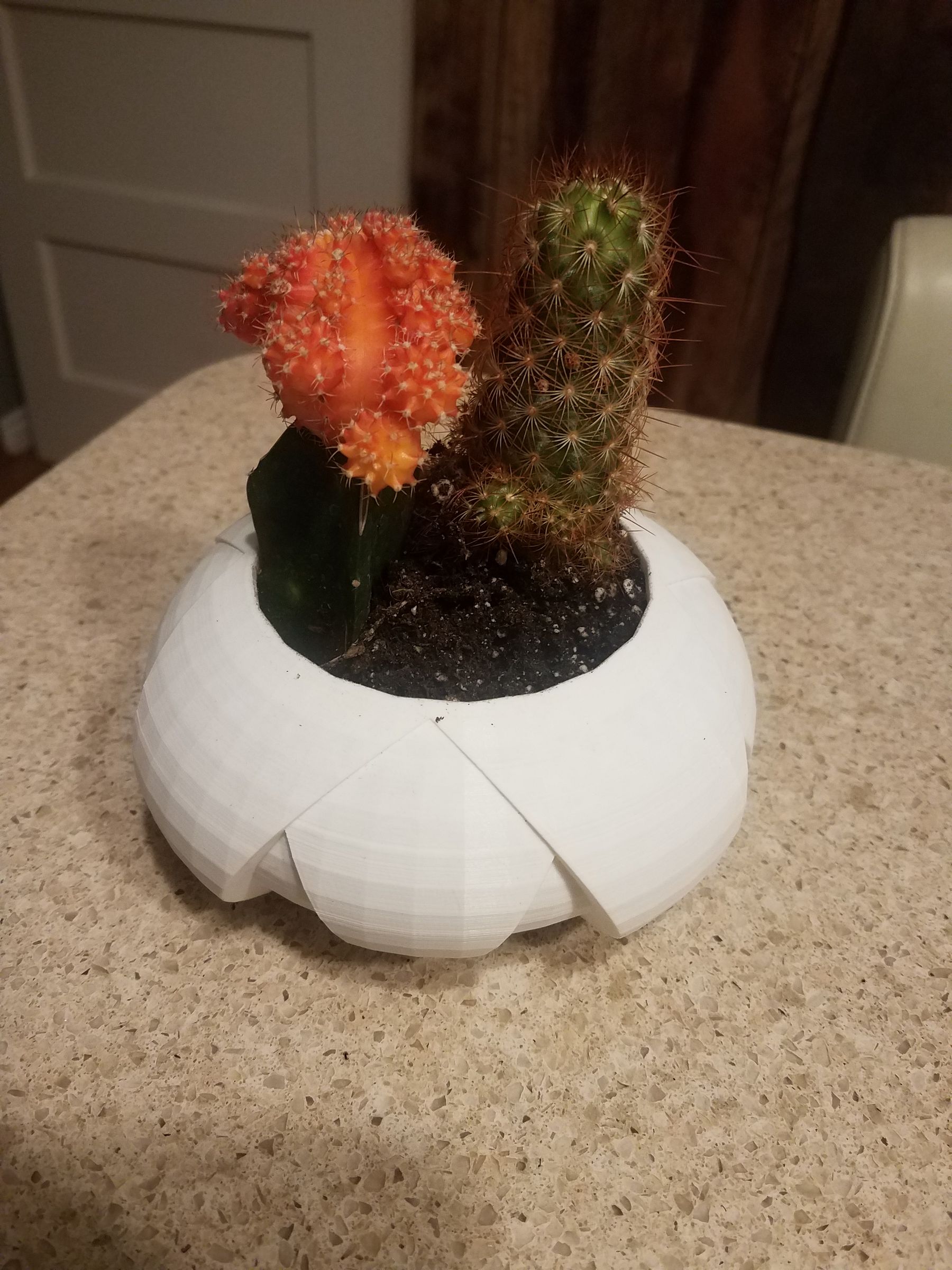 3D Printed Planter W/Tinkercad : 5 Steps (with Pictures) - Instructables
