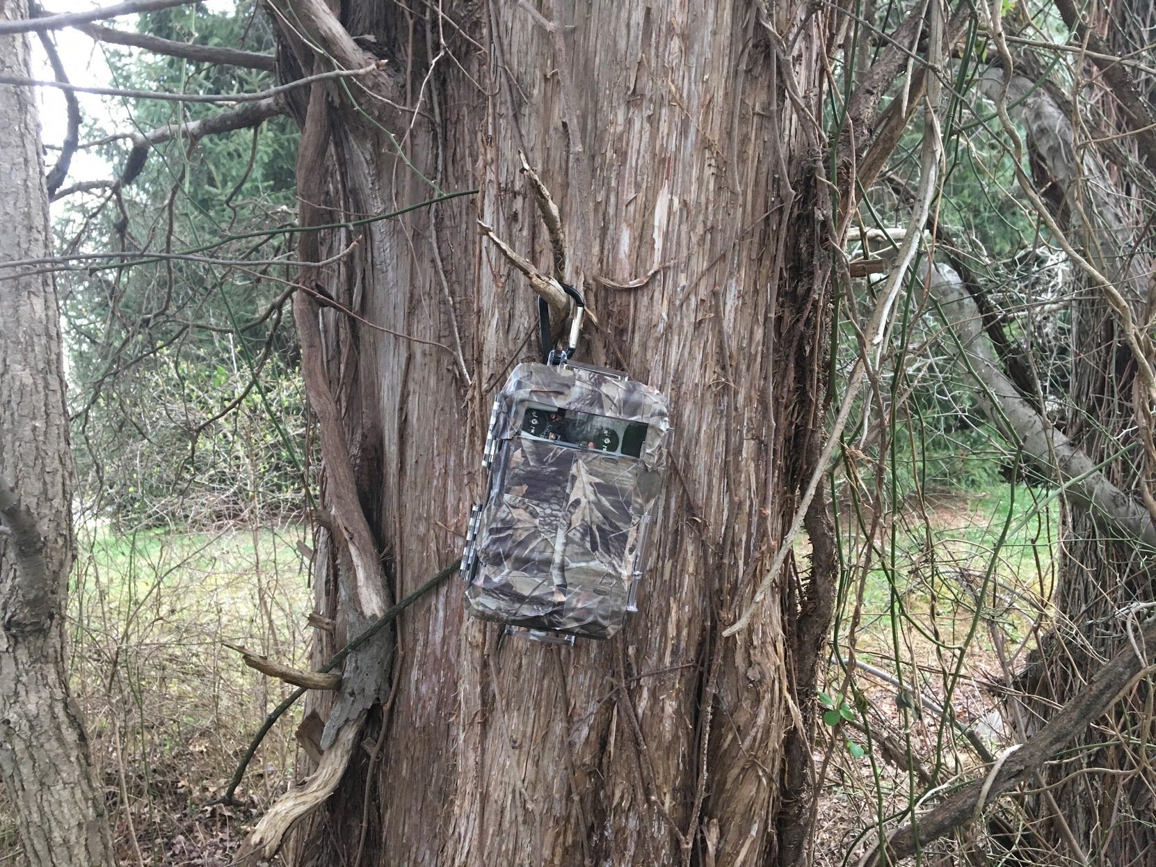 How to Make a Trail Camera Using a Picam Python Script : 5 Steps (with ...