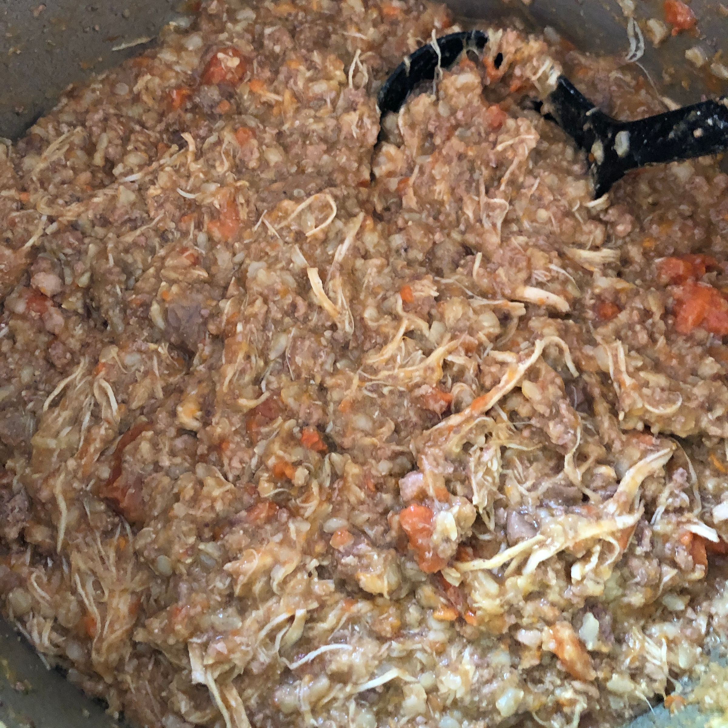 Homemade Big Dog Dog Food - for Sensitive Tummies : 19 Steps (with ...