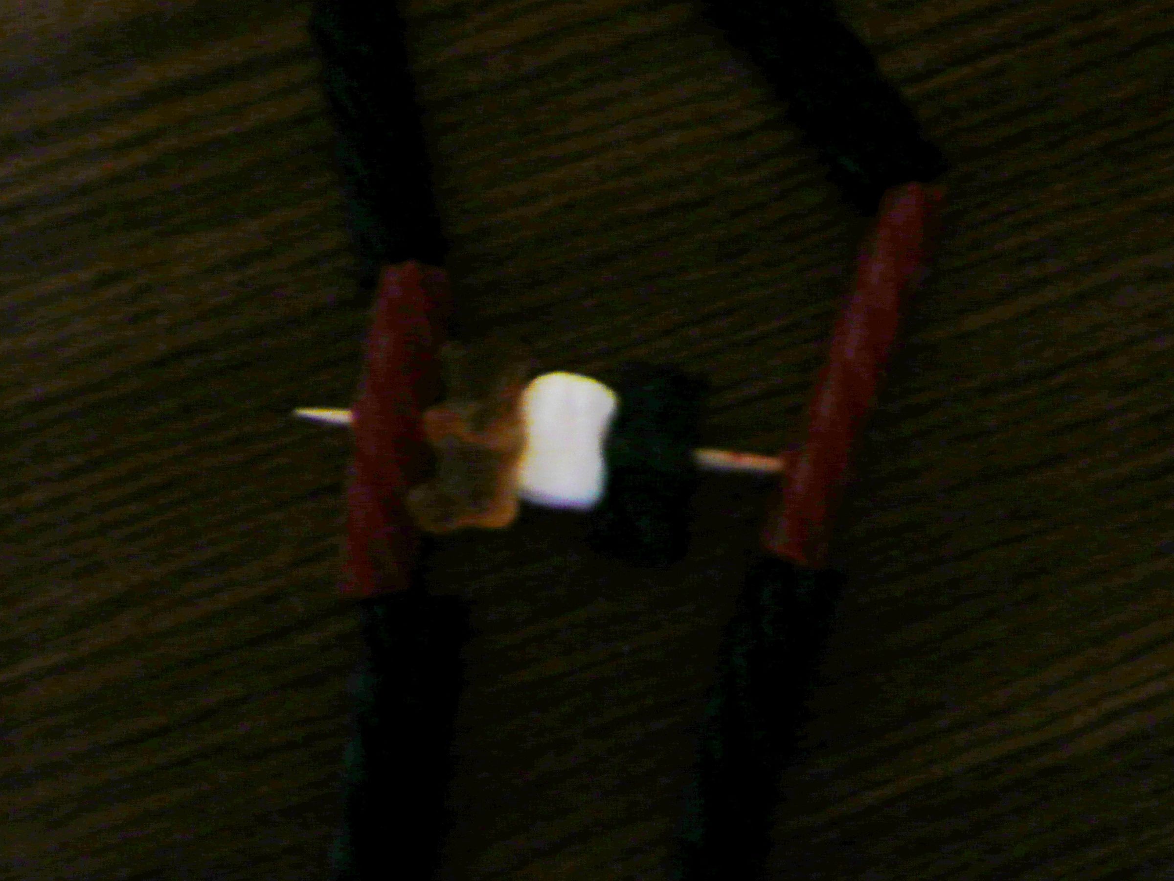 How to Make a DNA Model Out of Candy : 5 Steps - Instructables