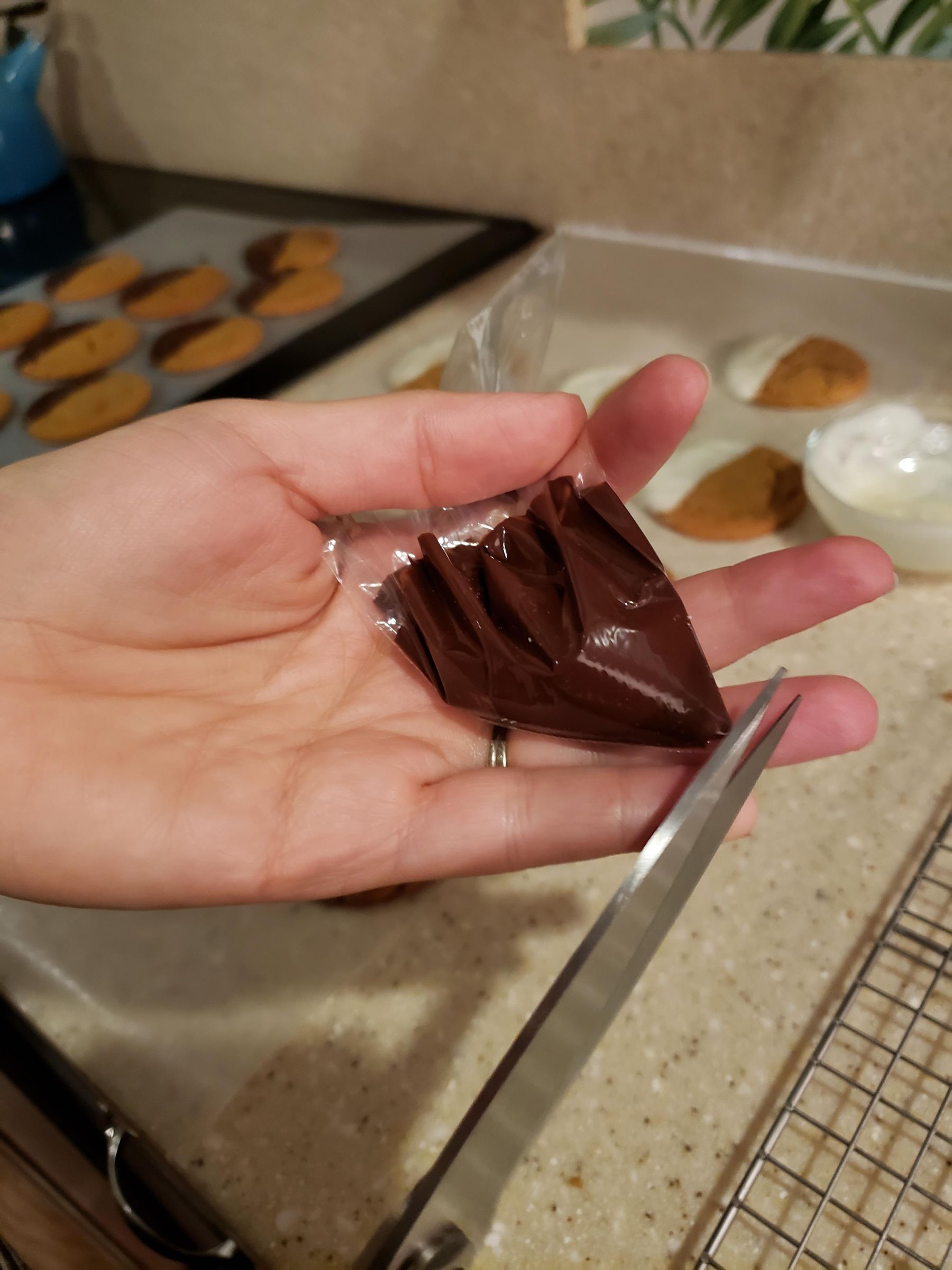 Chocolate Dipped Gingersnaps : 6 Steps (with Pictures) - Instructables