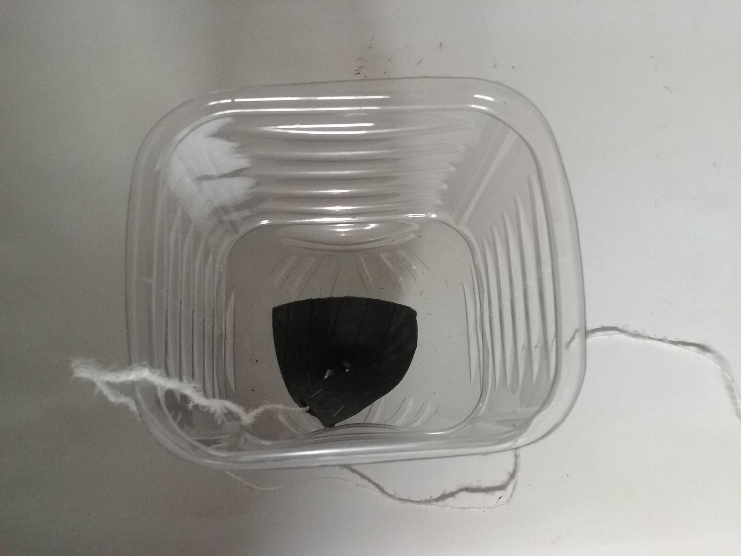 Bird Feeder Filler (BFF) : 6 Steps (with Pictures) - Instructables