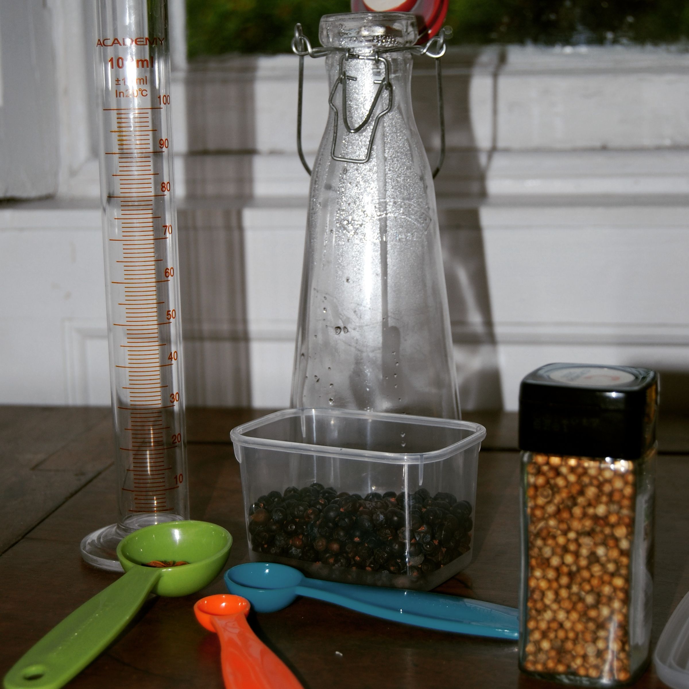 Make Your Own Gin With Foraged Botanicals (compound Method, Not ...