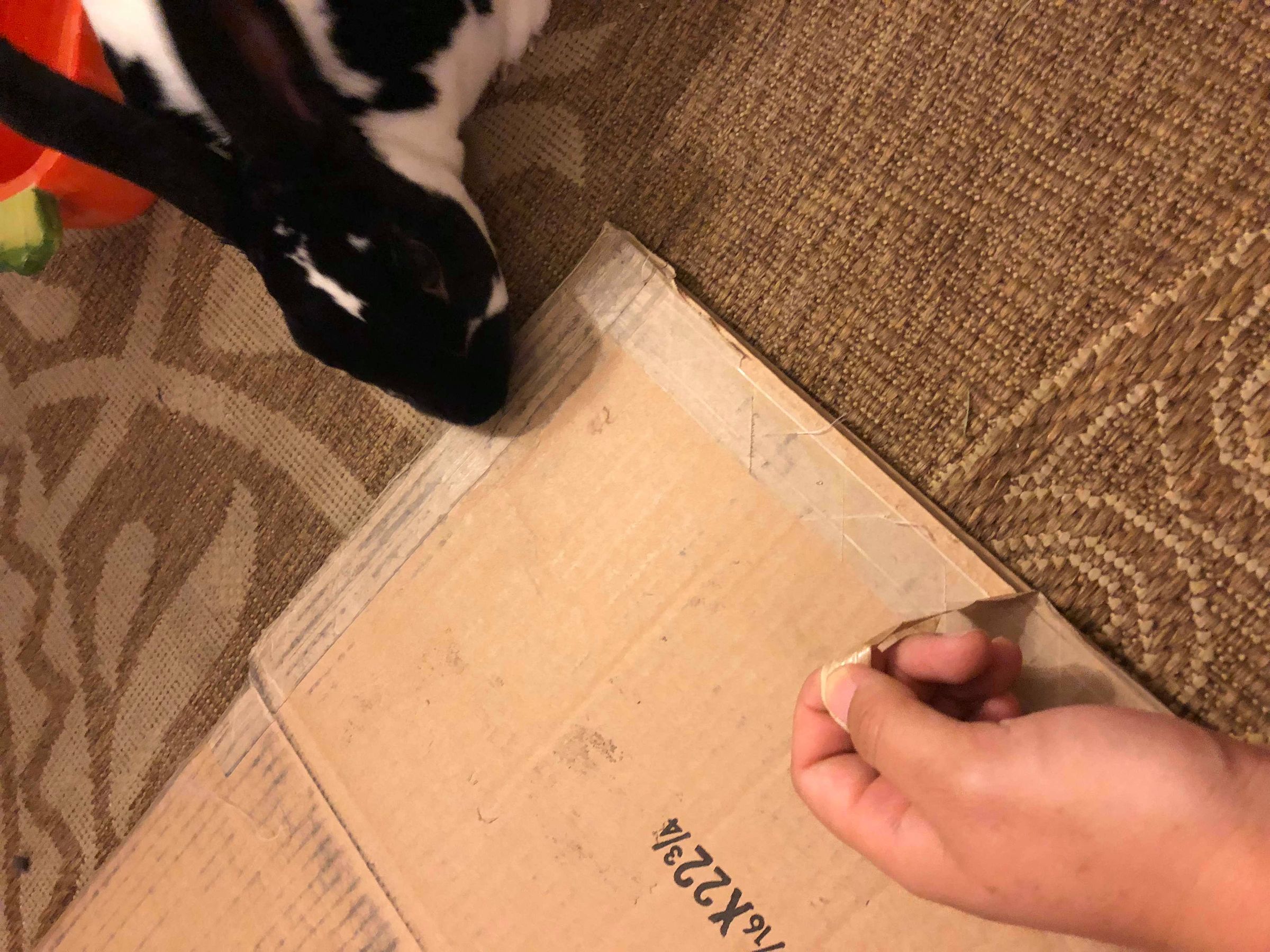 Cardboard Bunny House : 13 Steps - Instructables