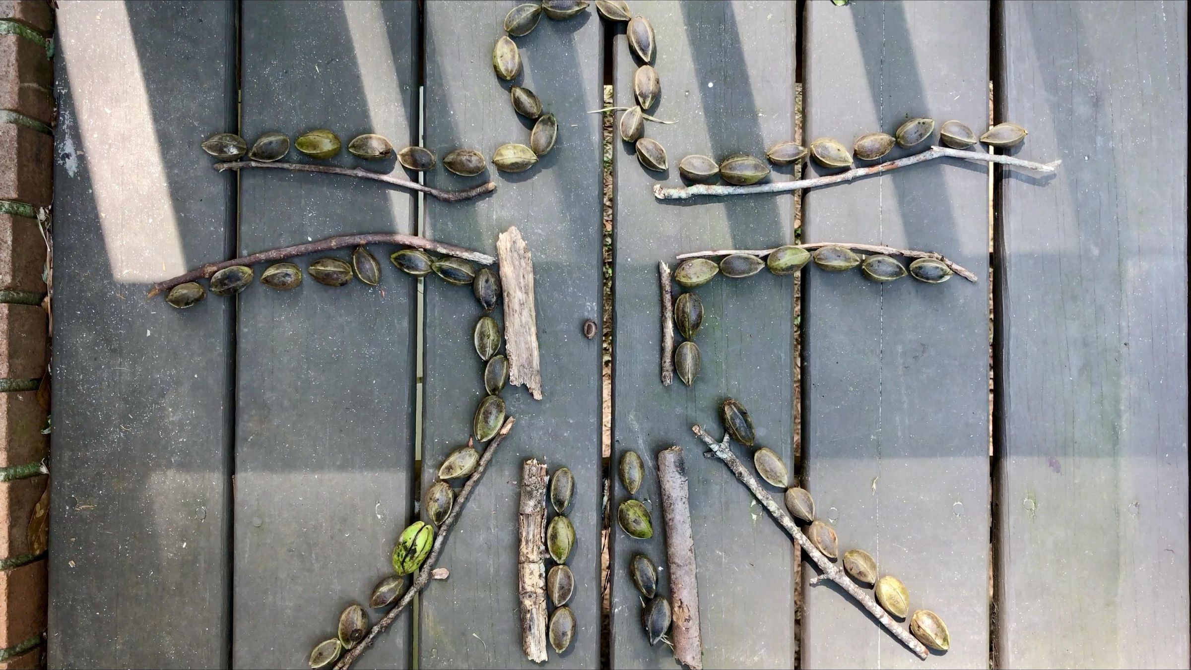 Nature Display : 4 Steps (with Pictures) - Instructables