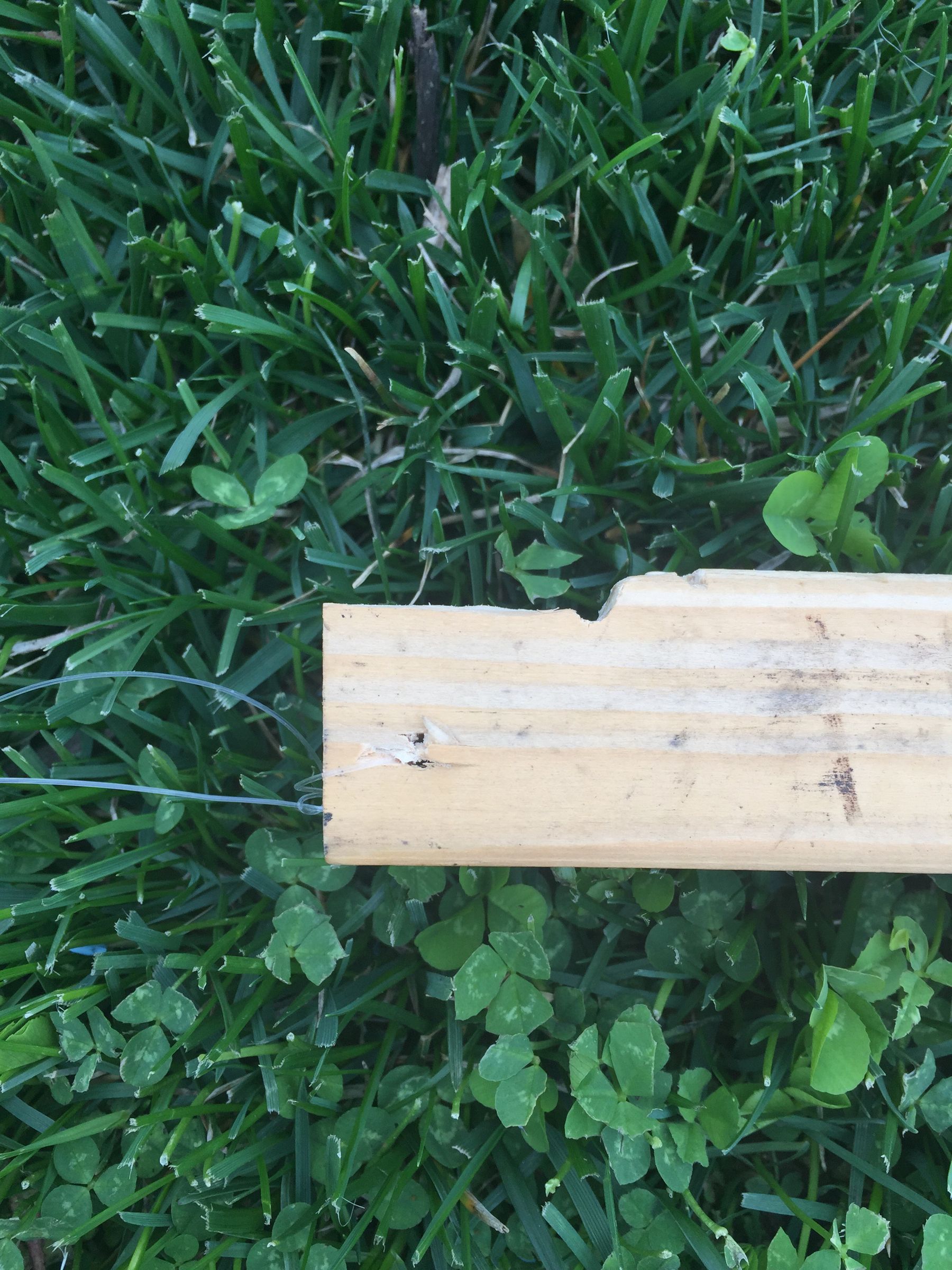 Wooden Animal Trap : 12 Steps - Instructables