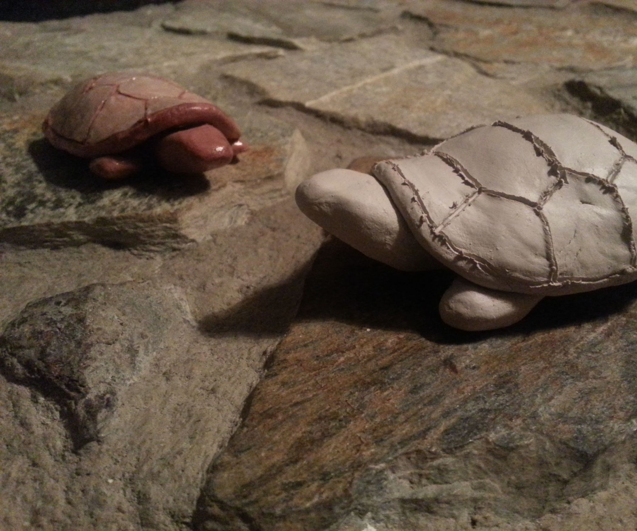 Clay Turtle Tutorial : 7 Steps (with Pictures) - Instructables