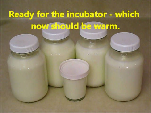 Make Yogurt by the Gallon Without a Yogurt Maker : 10 Steps (with ...