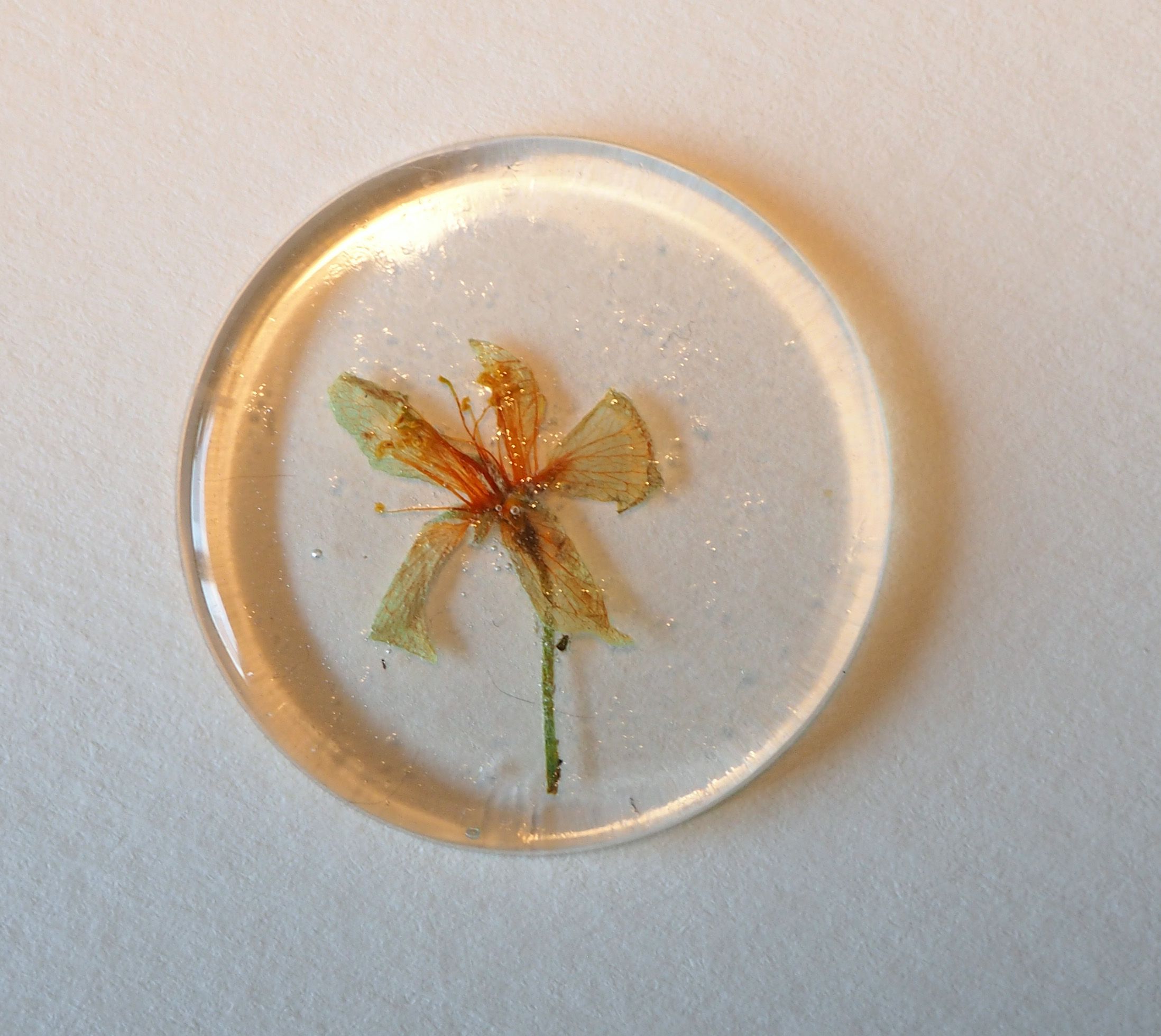 Techniques to Embed Flowers in Resin : 12 Steps (with Pictures ...