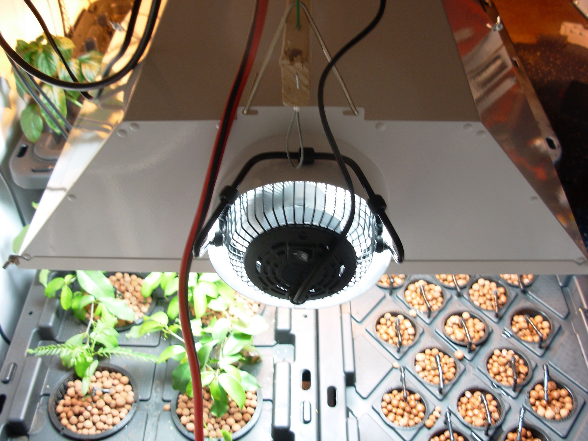 How to Build a Home Hydroponics System : 8 Steps (with Pictures ...