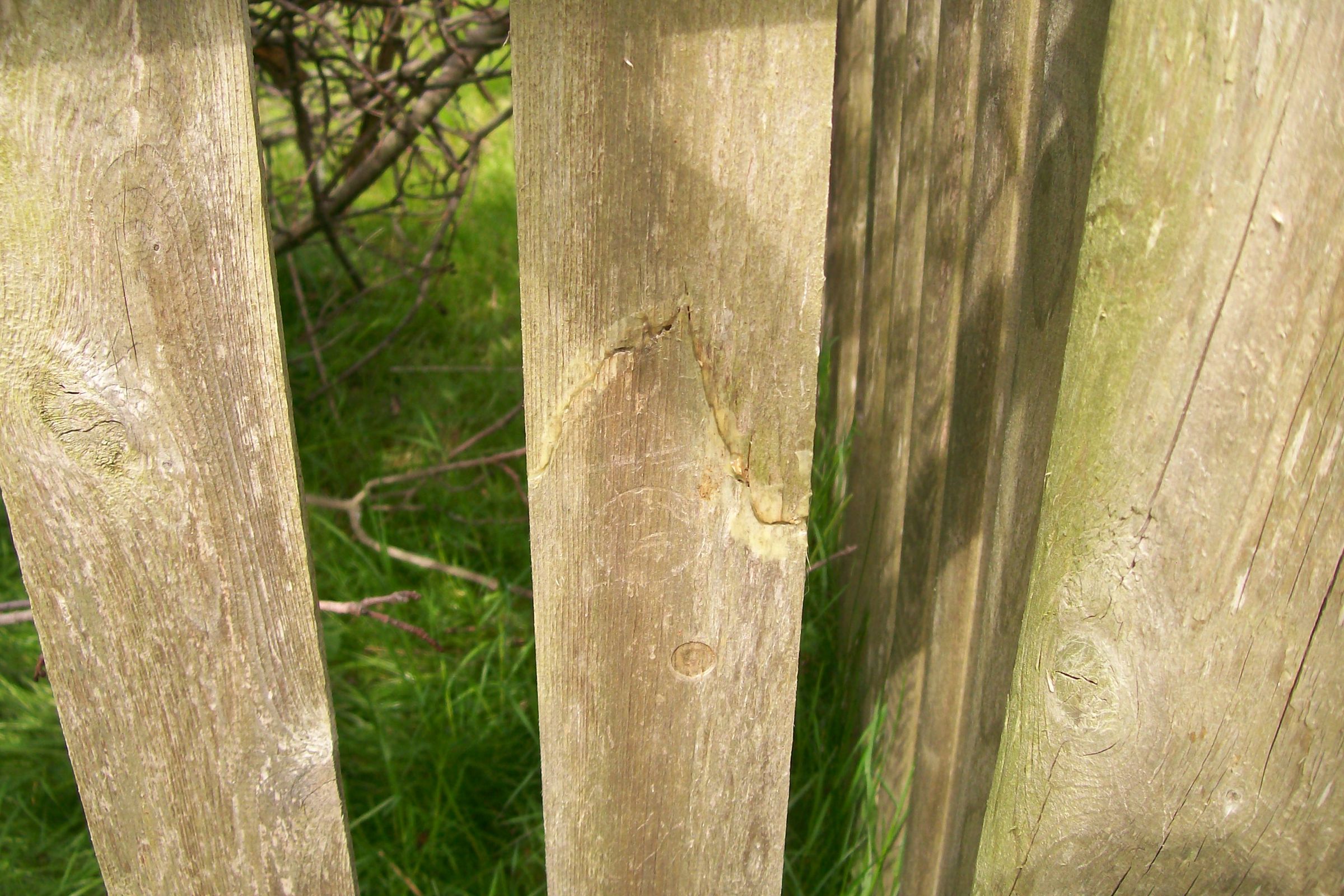 Picket Fence Repair : 5 Steps - Instructables