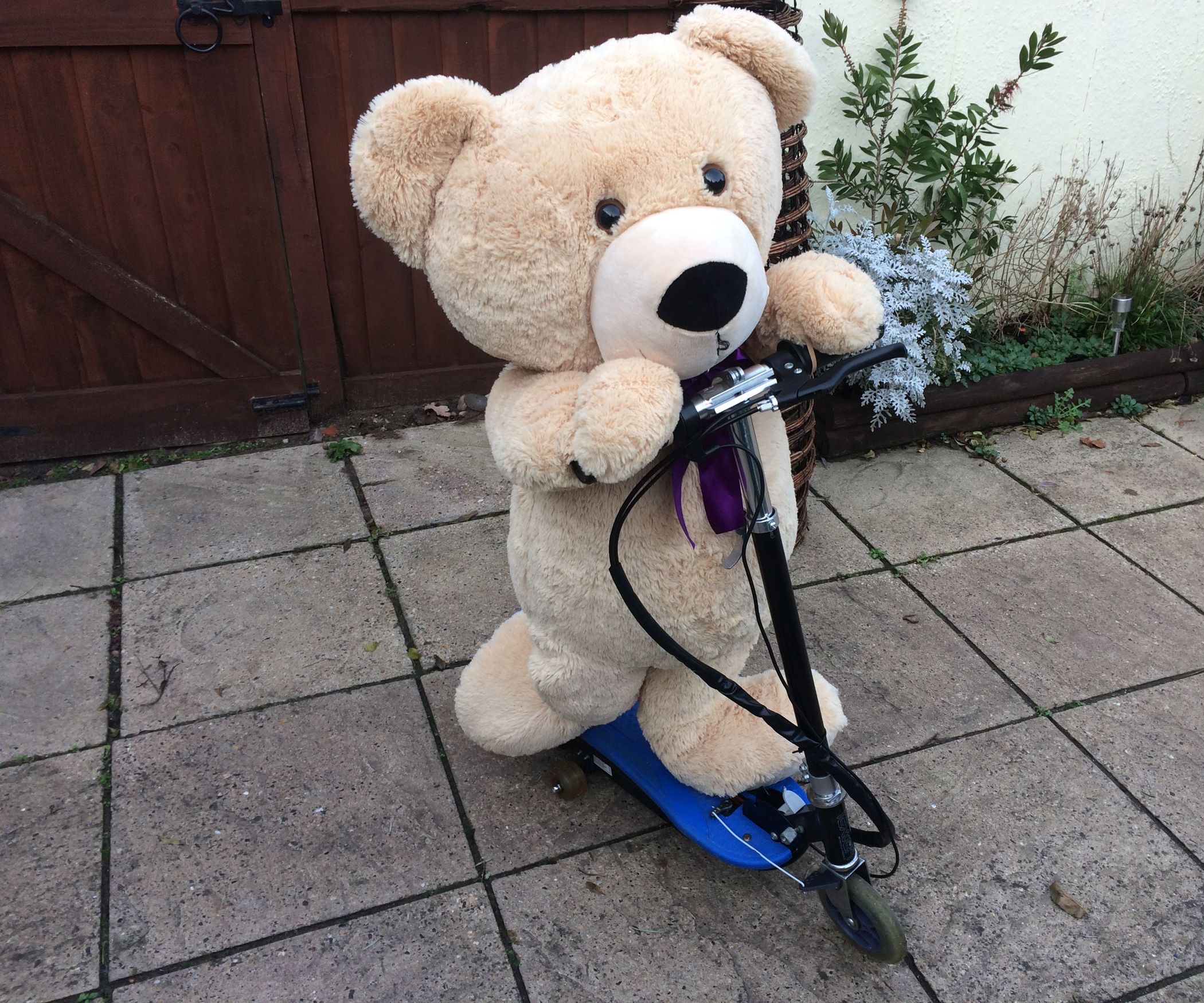 Radio Controlled Electric Teddy Scooter : 12 Steps (with Pictures ...