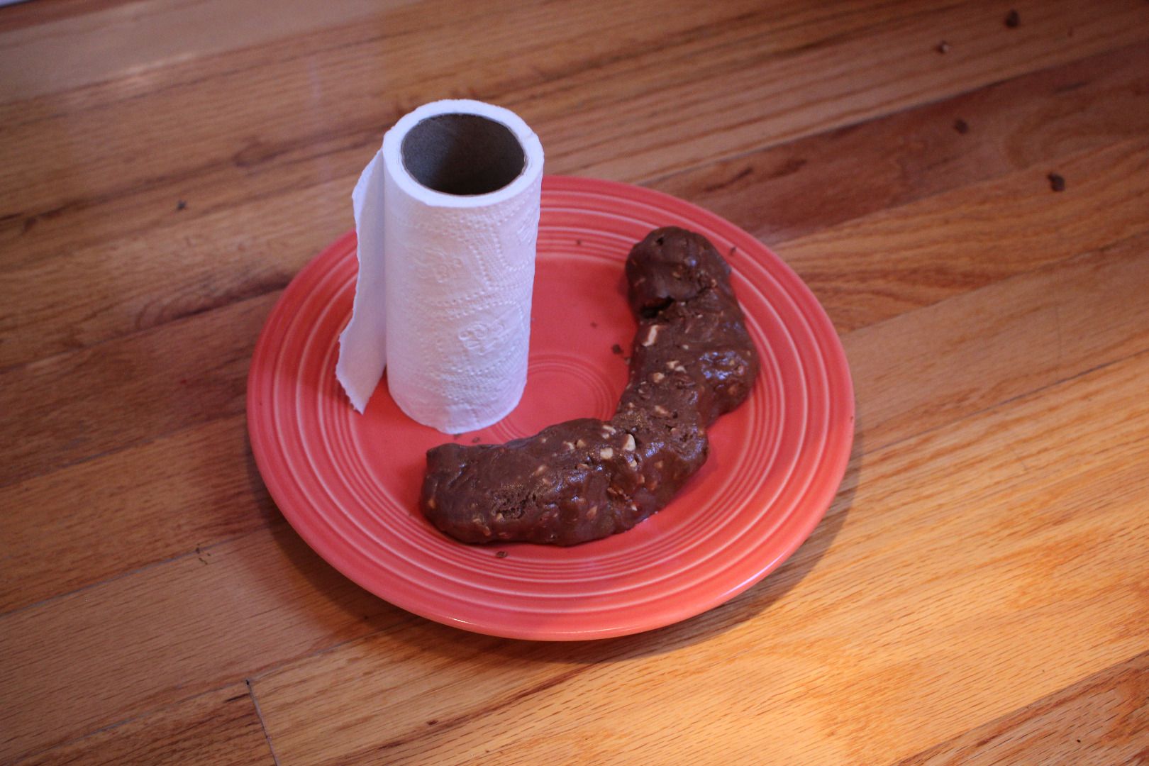 100% Edible Poop (That Didn't Come From Your Dog!) : 3 Steps ...