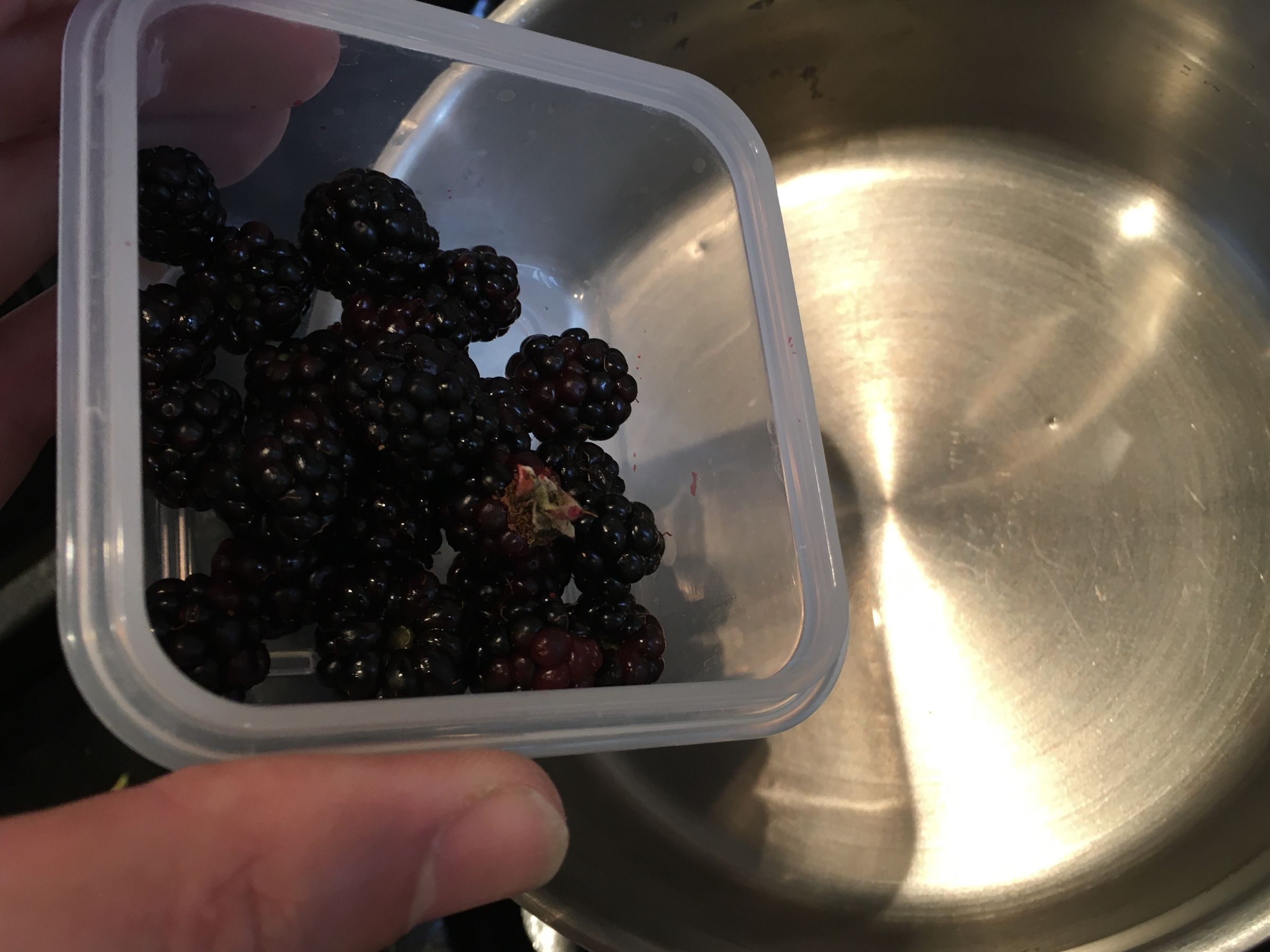 Home Made Ink From Nature: Perfect Purples : 18 Steps (with Pictures ...