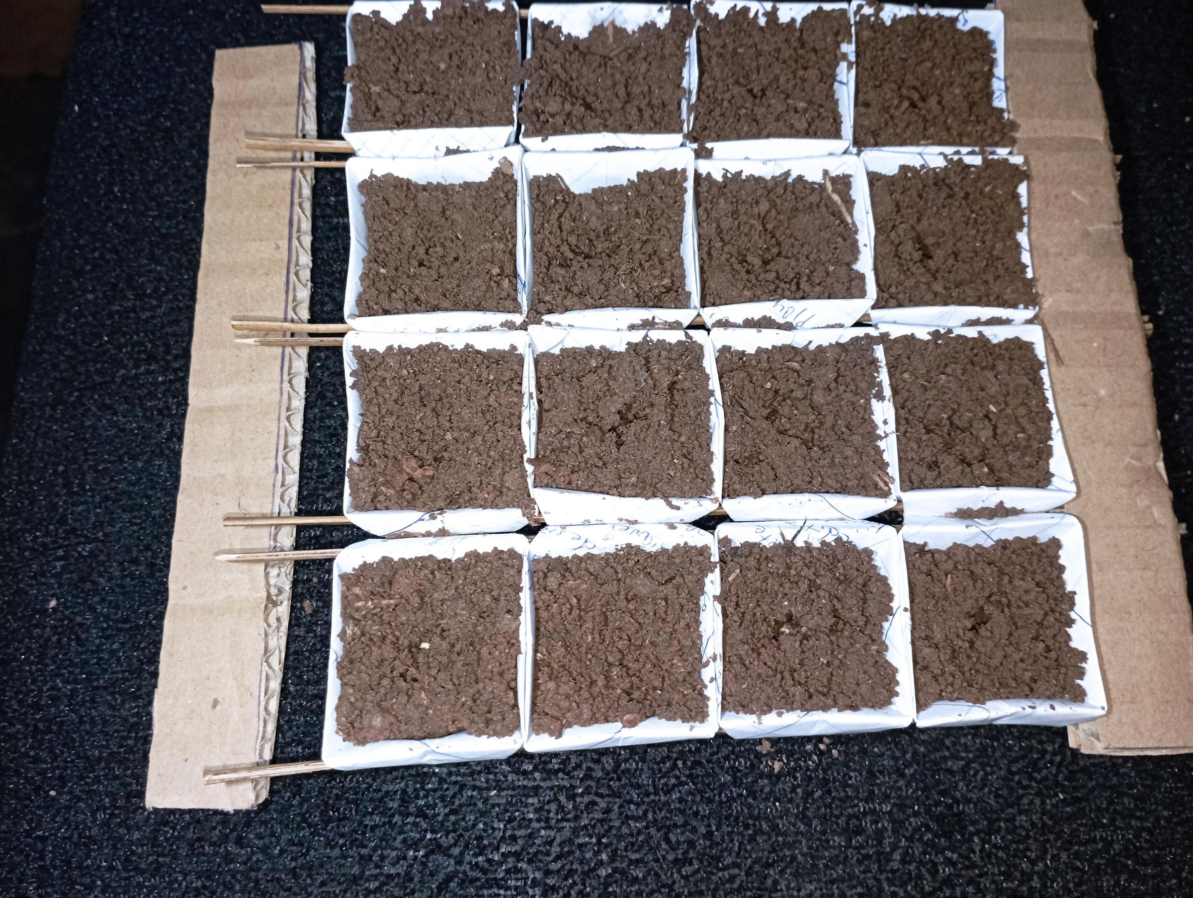 Origami: Paper Seedling Tray. : 10 Steps (with Pictures) - Instructables