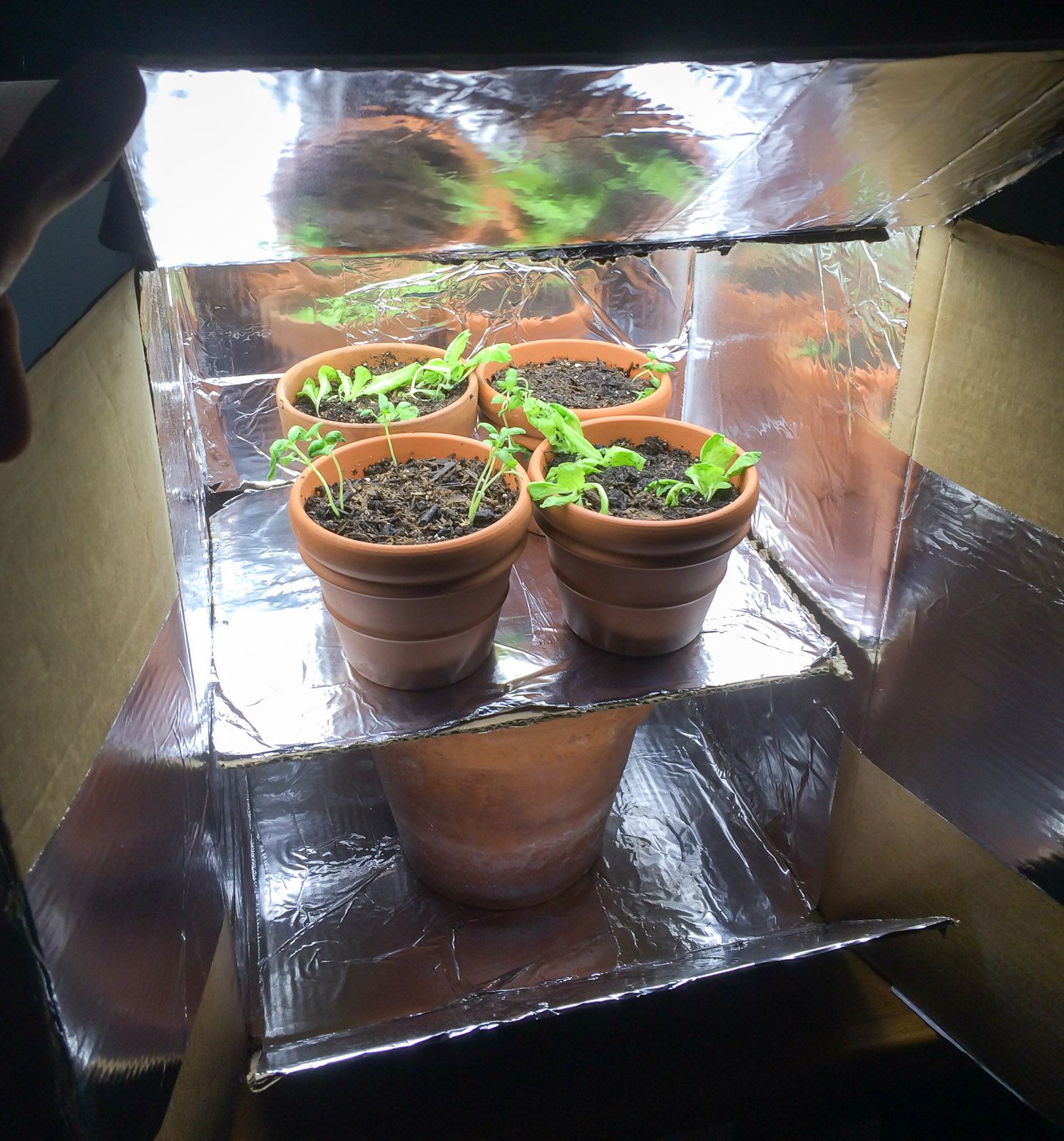 Small Indoor LED Plant Grow Room : 4 Steps (with Pictures) - Instructables