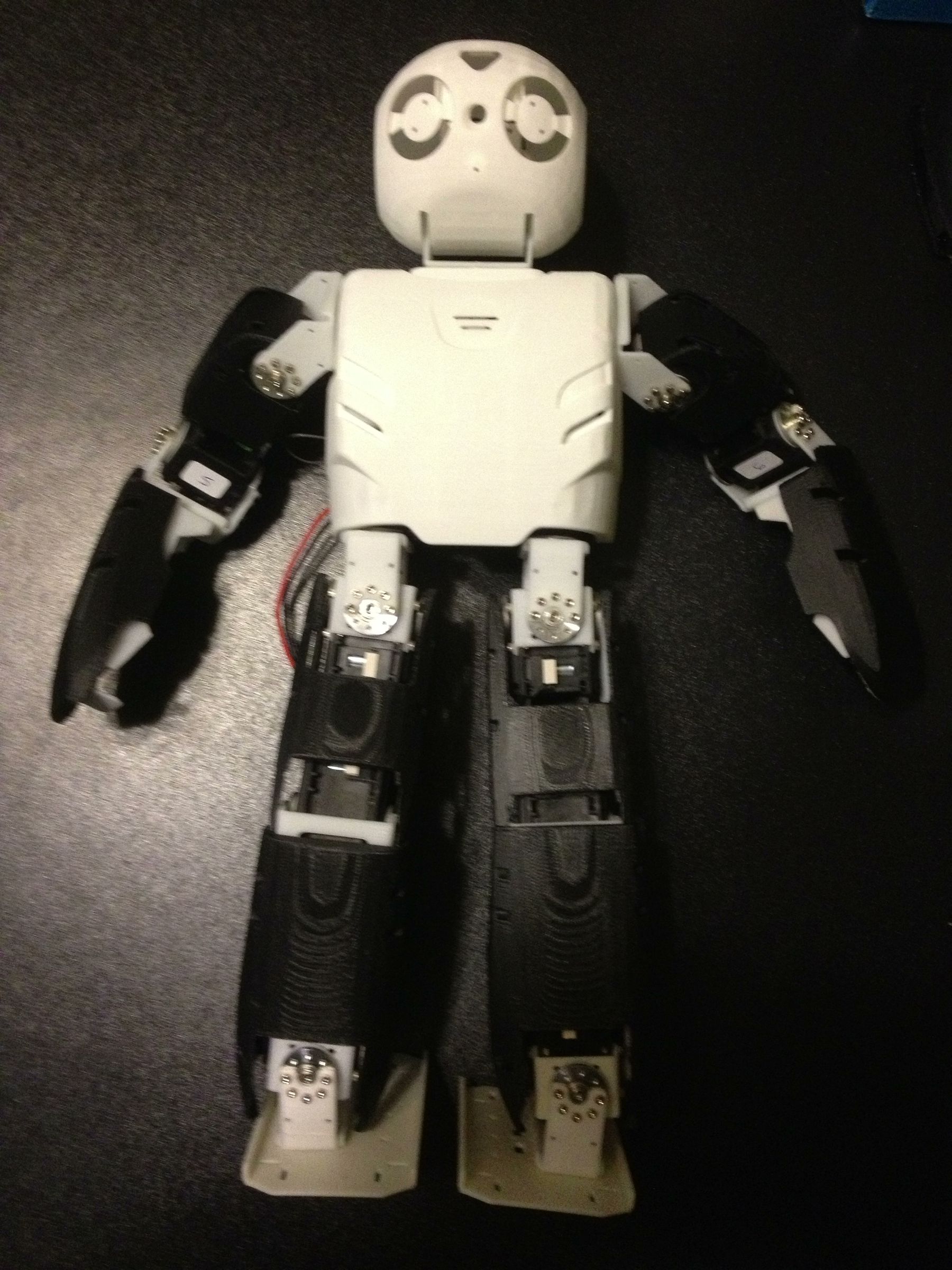 Robot Cloning by DIY 3d Printers! : 18 Steps (with Pictures ...