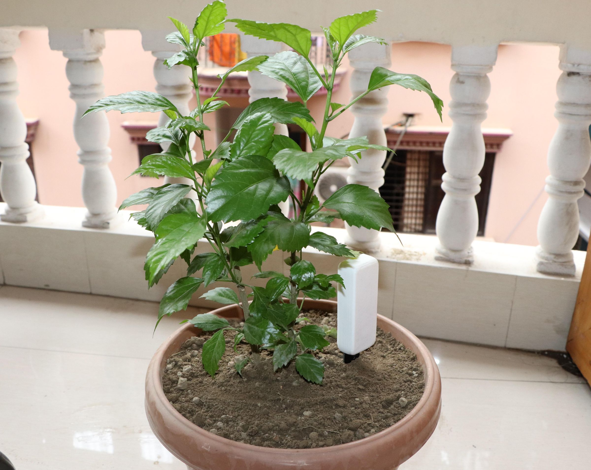 Plant Care Device (2 Years From 2 AAA Battery!!!) : 7 Steps (with ...