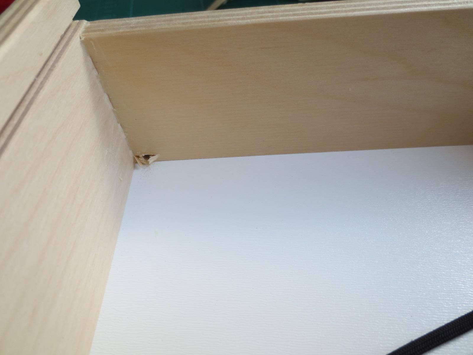 Firefly Forest : 7 Steps (with Pictures) - Instructables