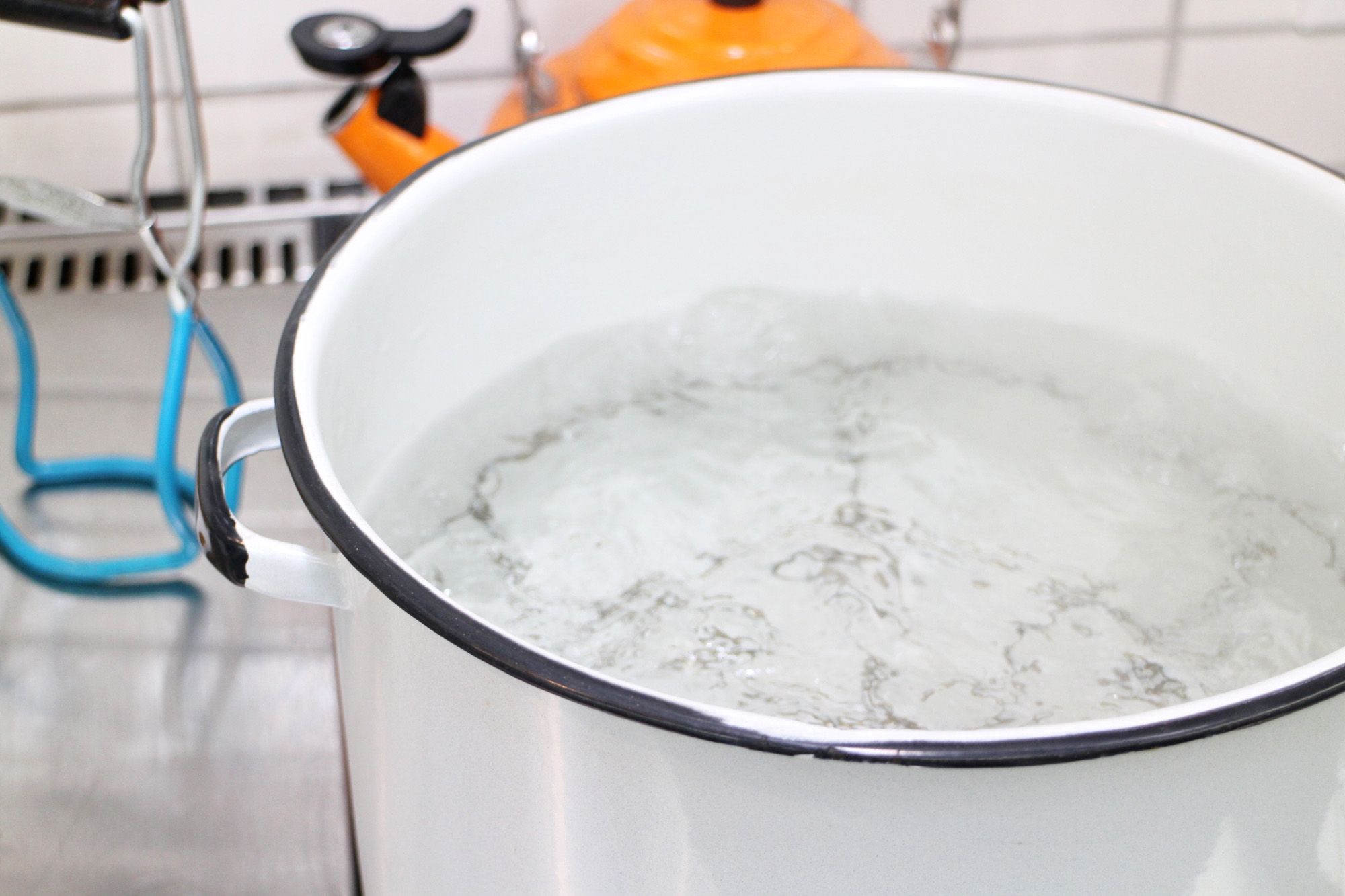 A Beginner's Guide to Canning at Home : 17 Steps (with Pictures ...