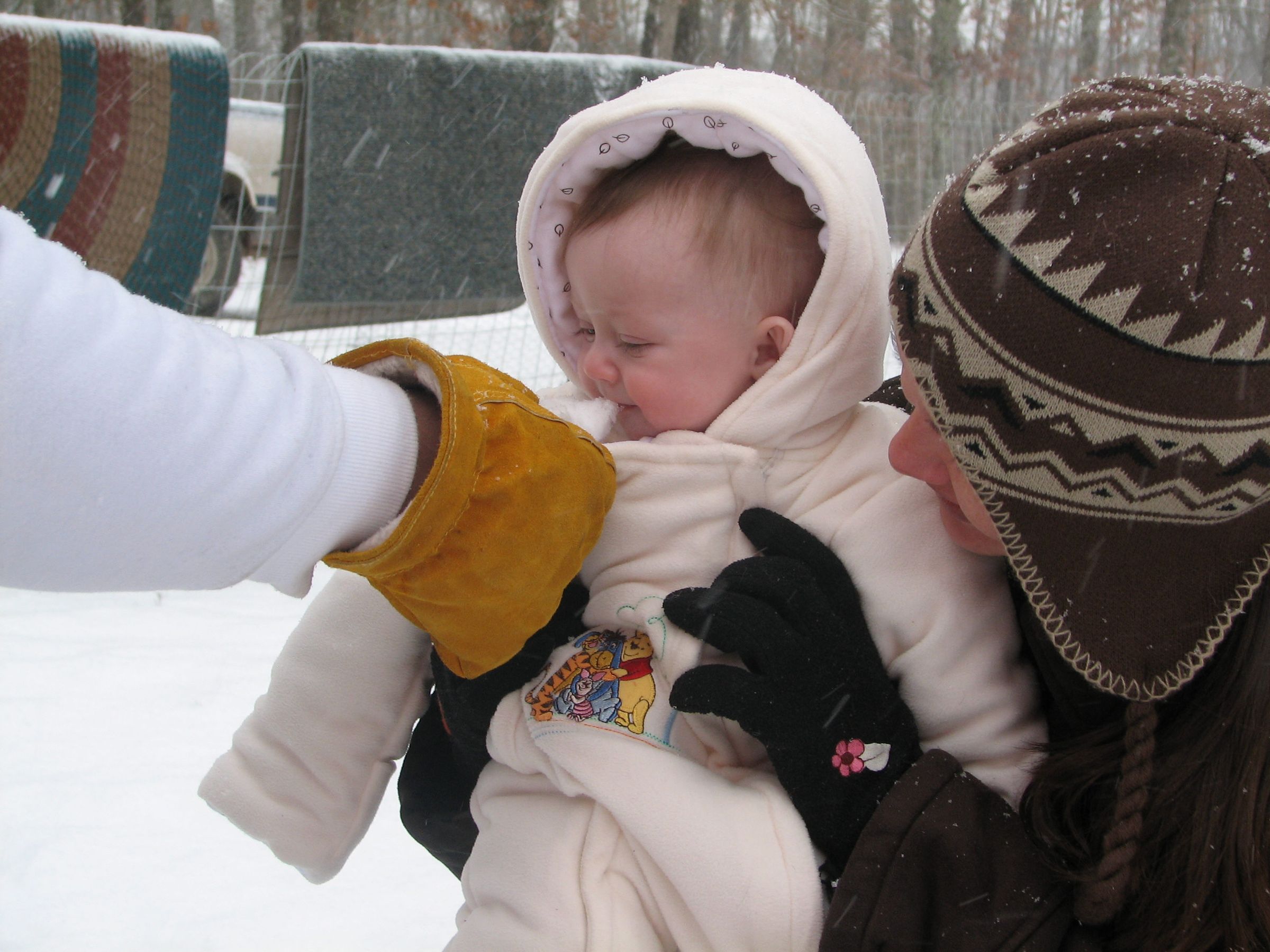 How to Get Baby to Eat a Snowball for the First Time : 4 Steps ...