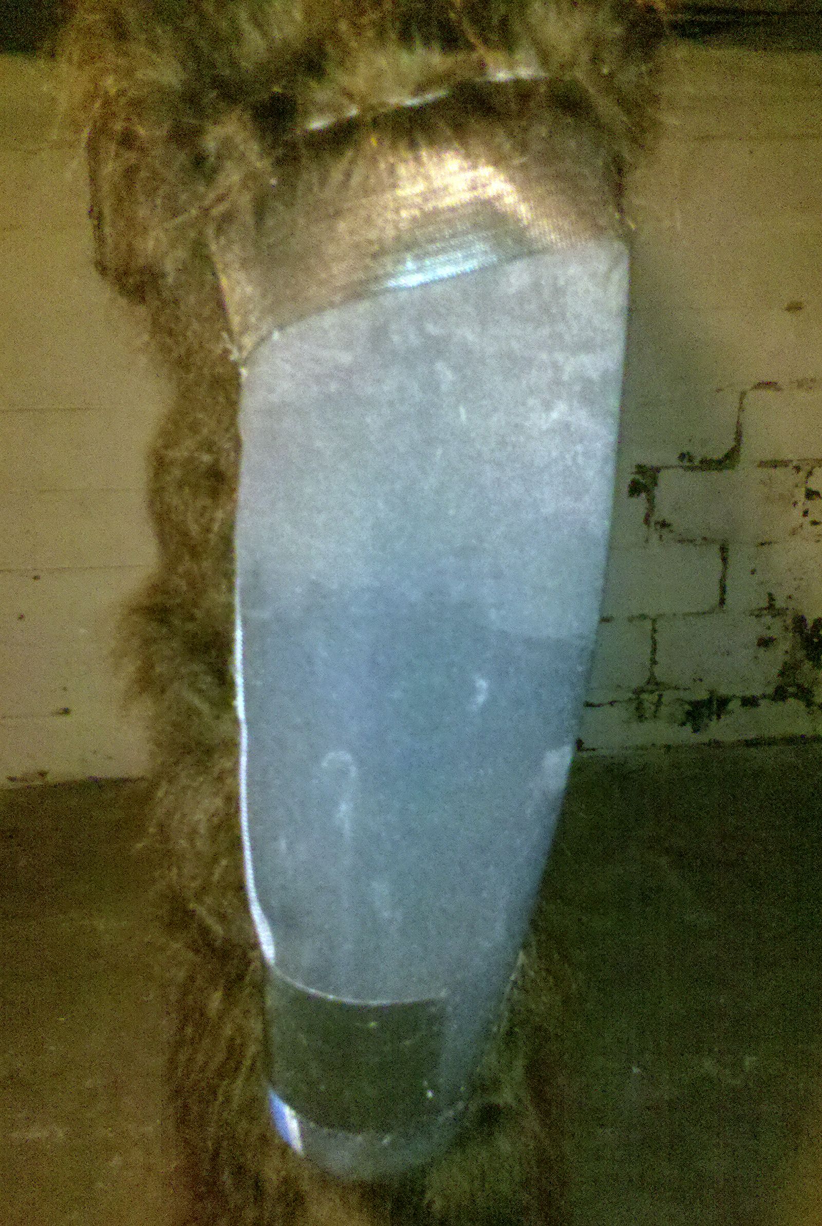 "Creature Reacher" 9 Ft Werewolf Monster Costume : 5 Steps (with ...