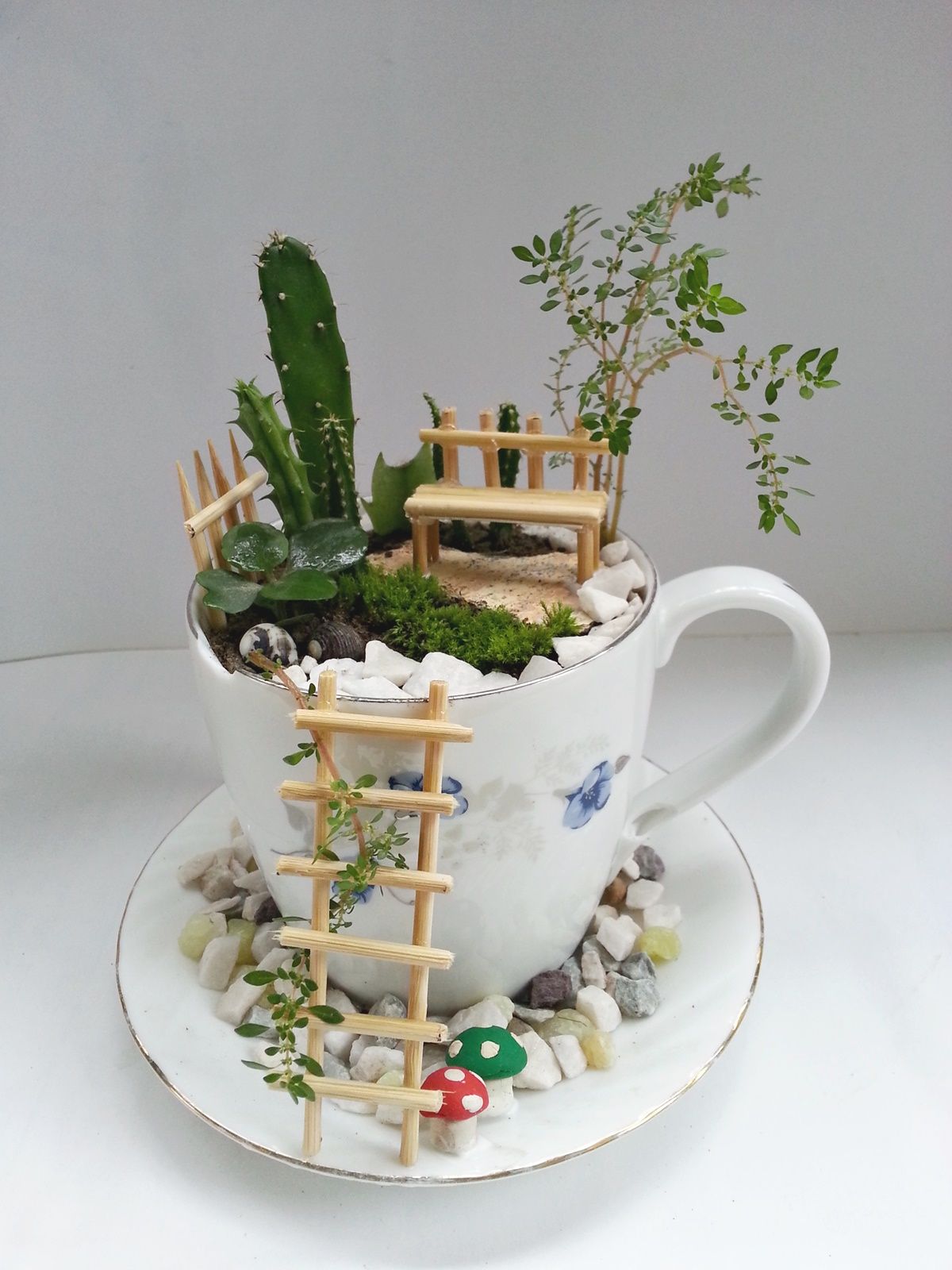 DIY Cup Garden : 9 Steps (with Pictures) - Instructables